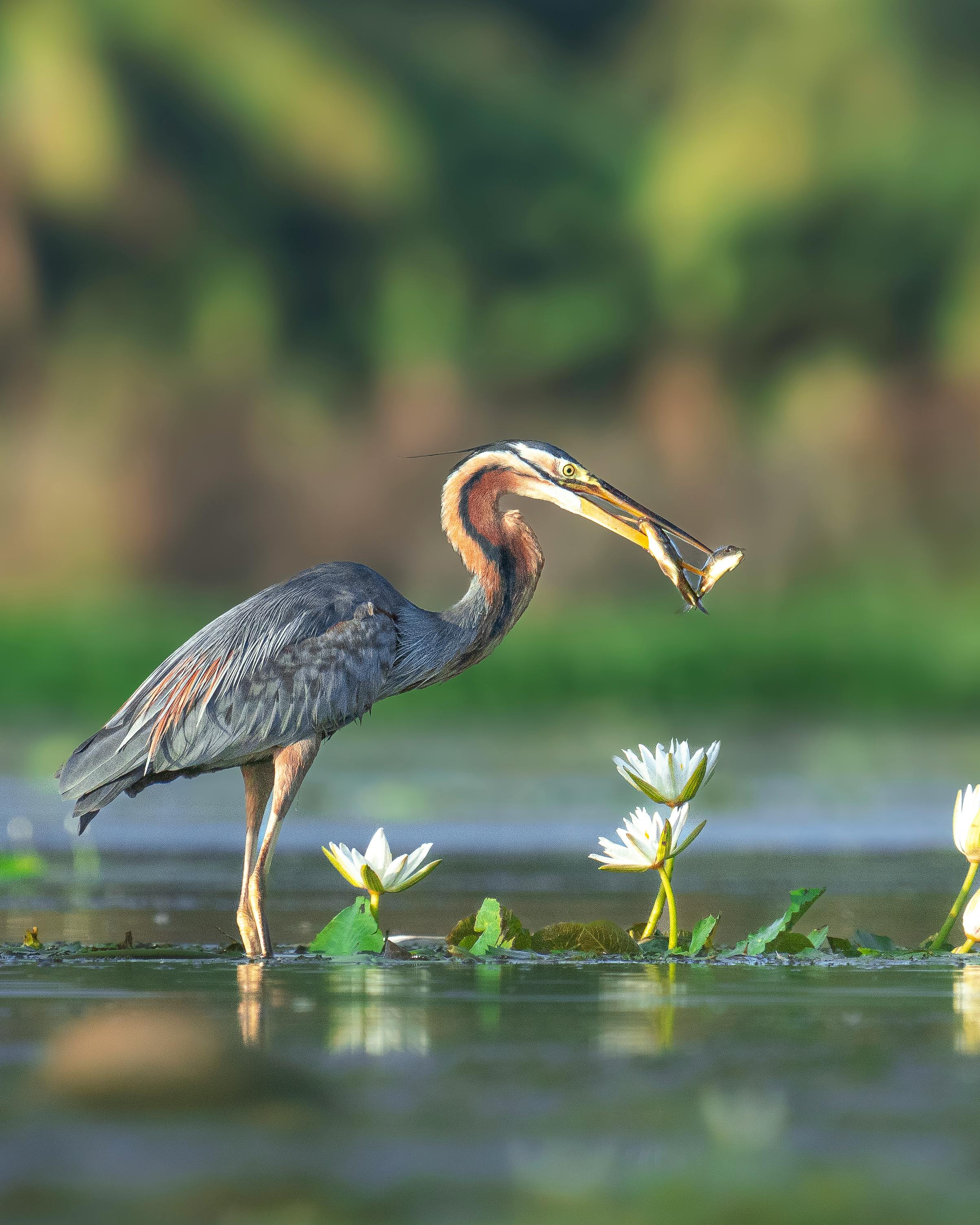 Colorful Scenery Photos, Download The BEST Free Colorful Scenery Stock ...