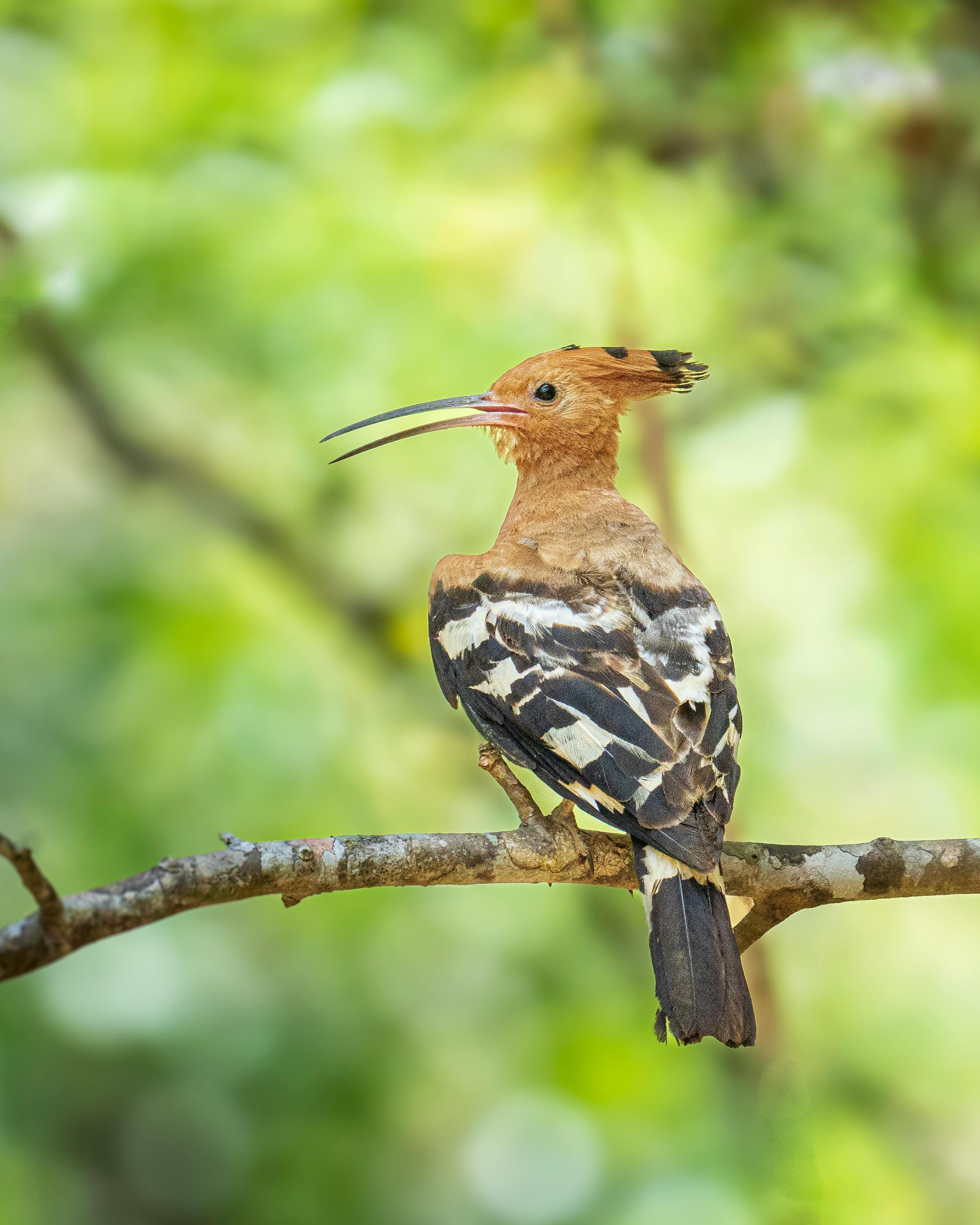 Kelvan+Images Photos, Download The BEST Free Kelvan+Images Stock Photos ...