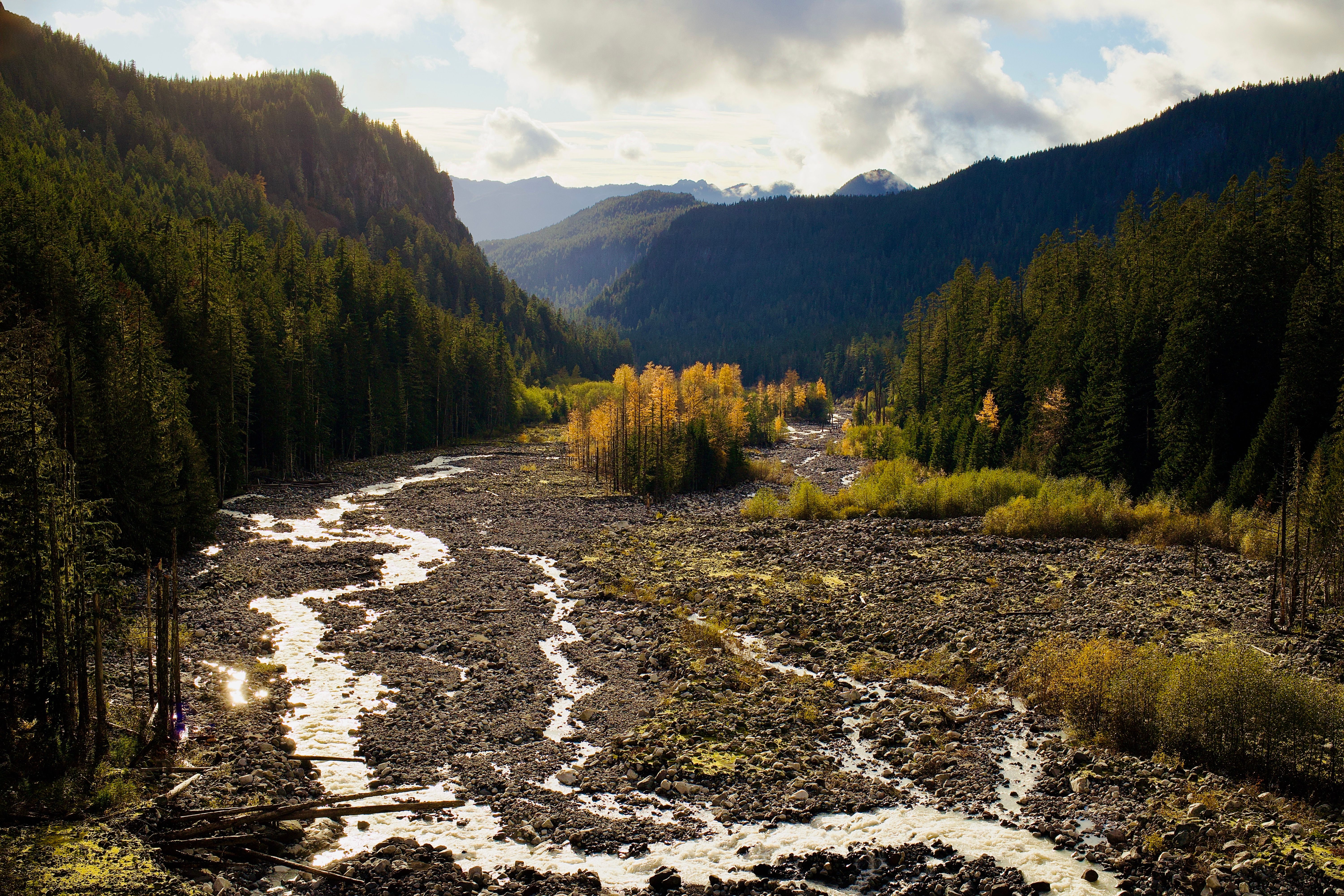 Scenic Mountain Valley with River and Forest · Free Stock Photo