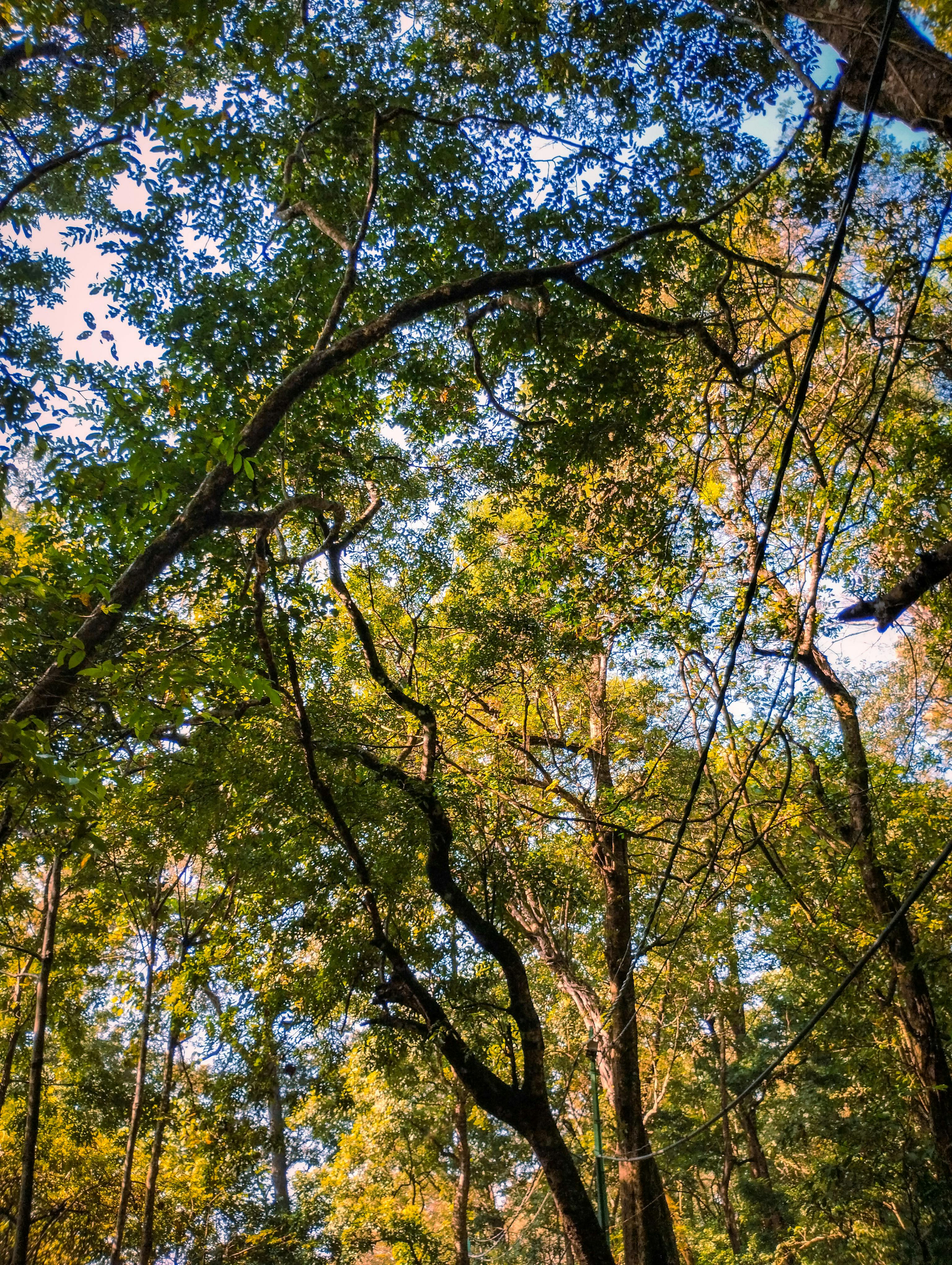 Ambient Photos, Download The BEST Free Ambient Stock Photos & HD Images