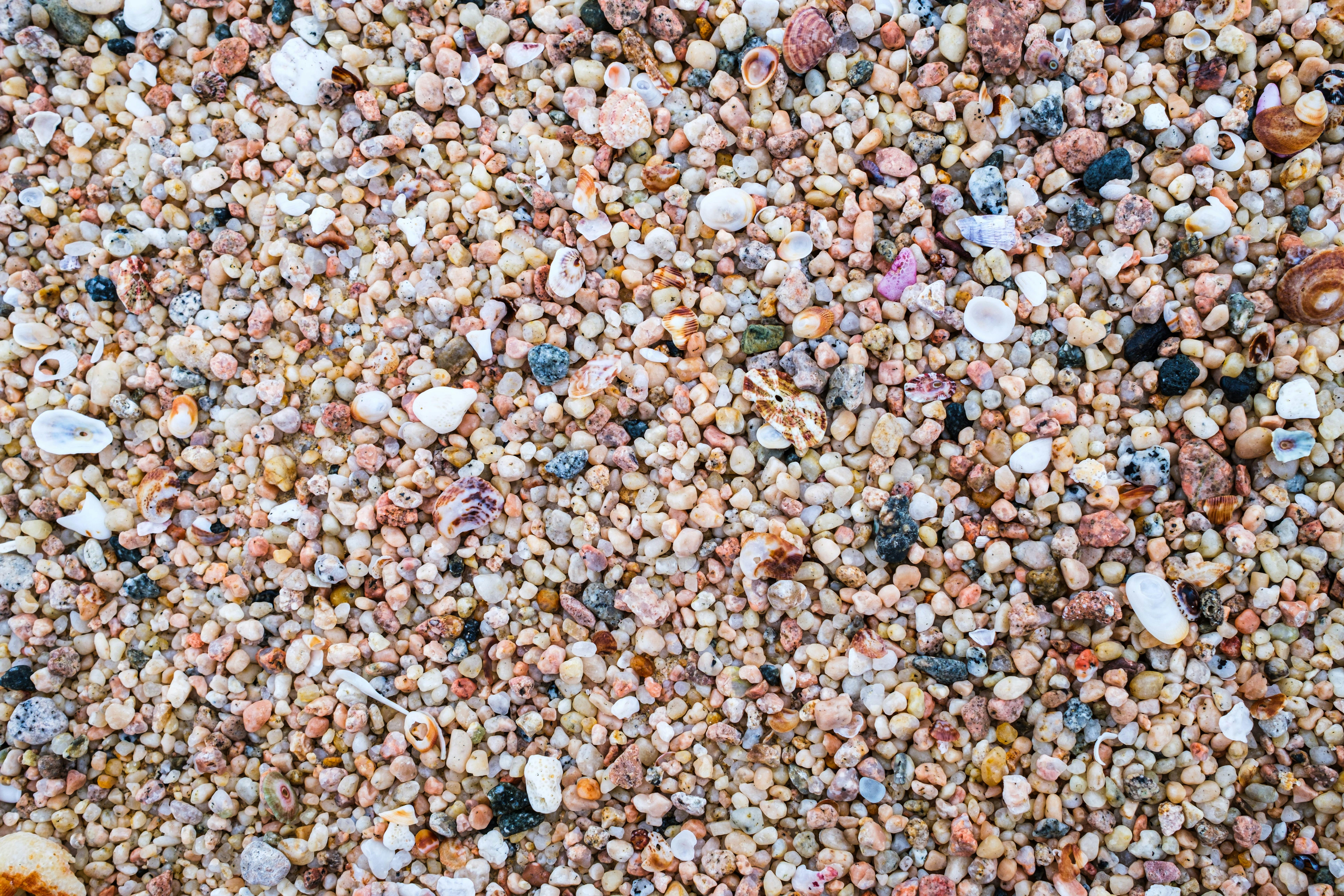 Tarp Background Photos, Download The BEST Free Tarp Background Stock ...