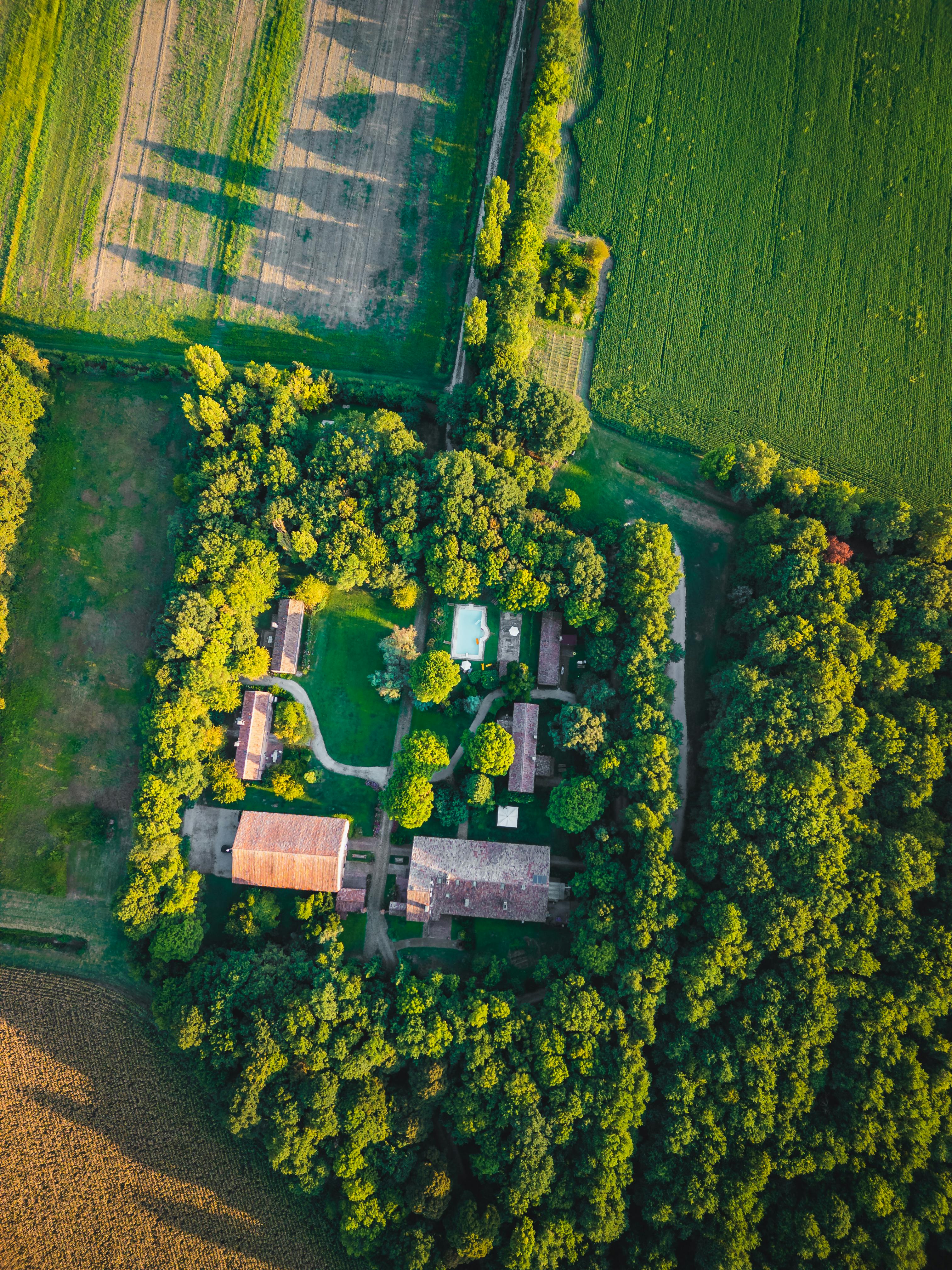 30+Tops Photos, Download The BEST Free 30+Tops Stock Photos & HD Images