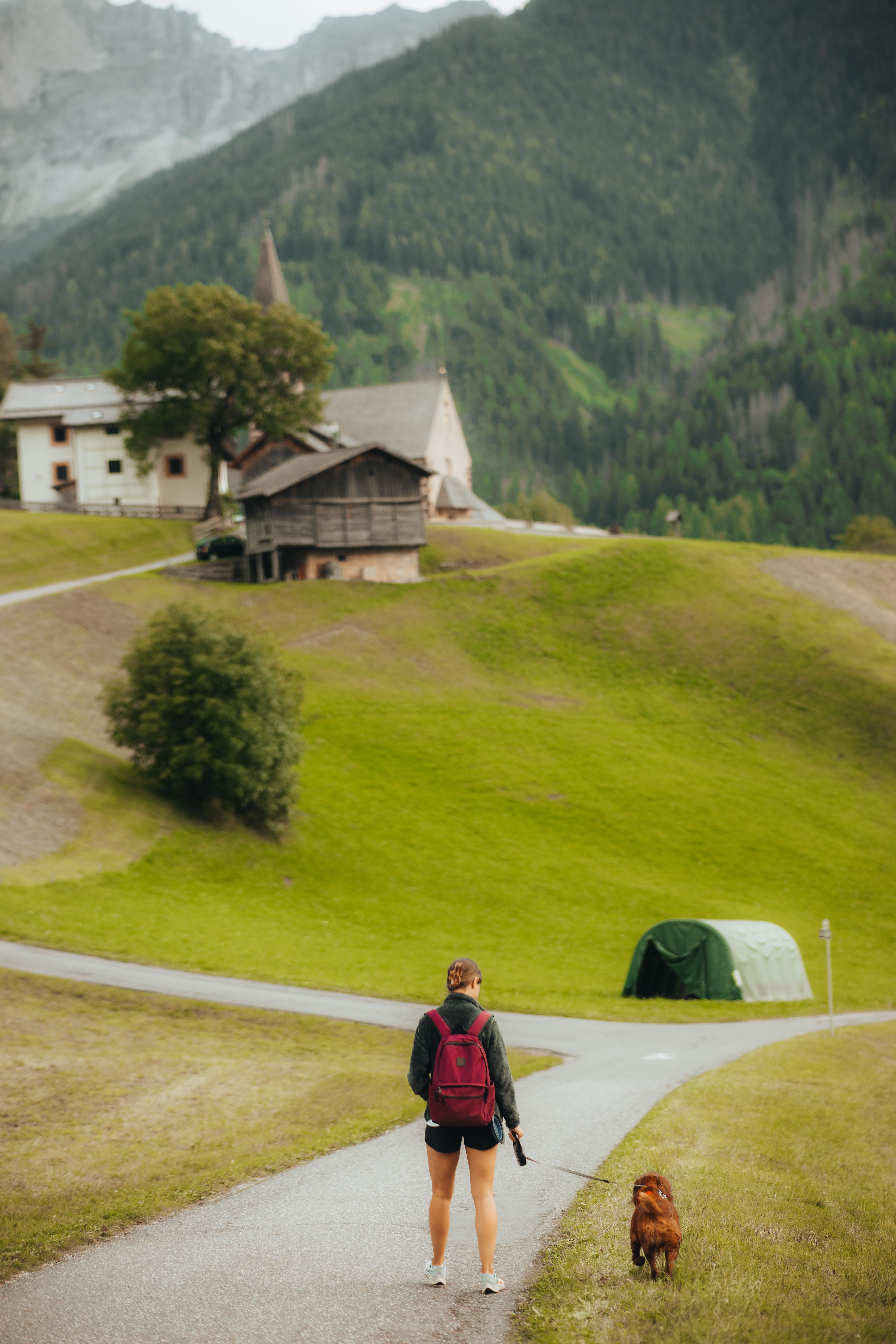 Hiker with Dog Exploring Alpine Landscape · Free Stock Photo