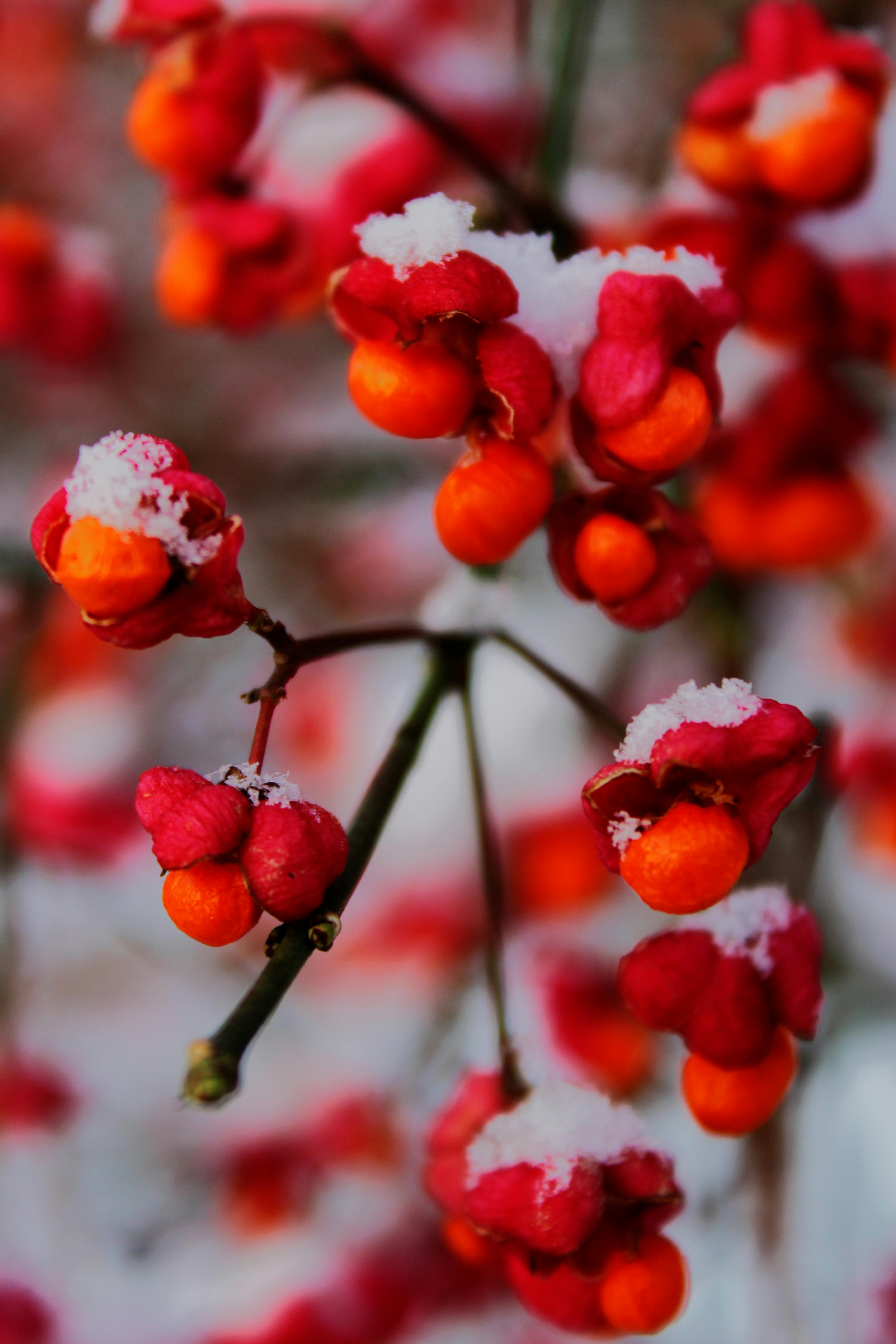 Tarp Background Photos, Download The BEST Free Tarp Background Stock ...