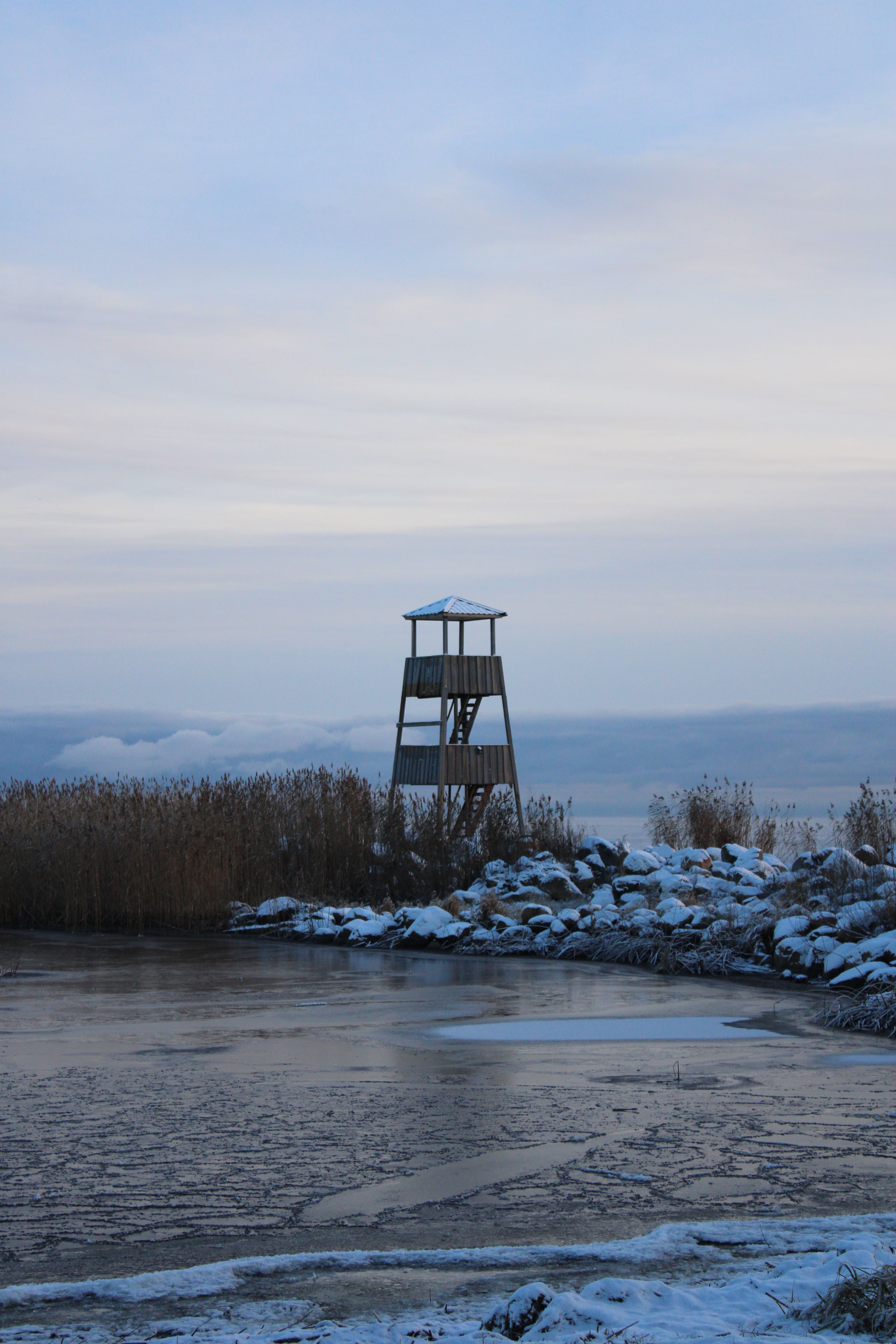 Serene Winter Scene with Lake and Watchtower · Free Stock Photo