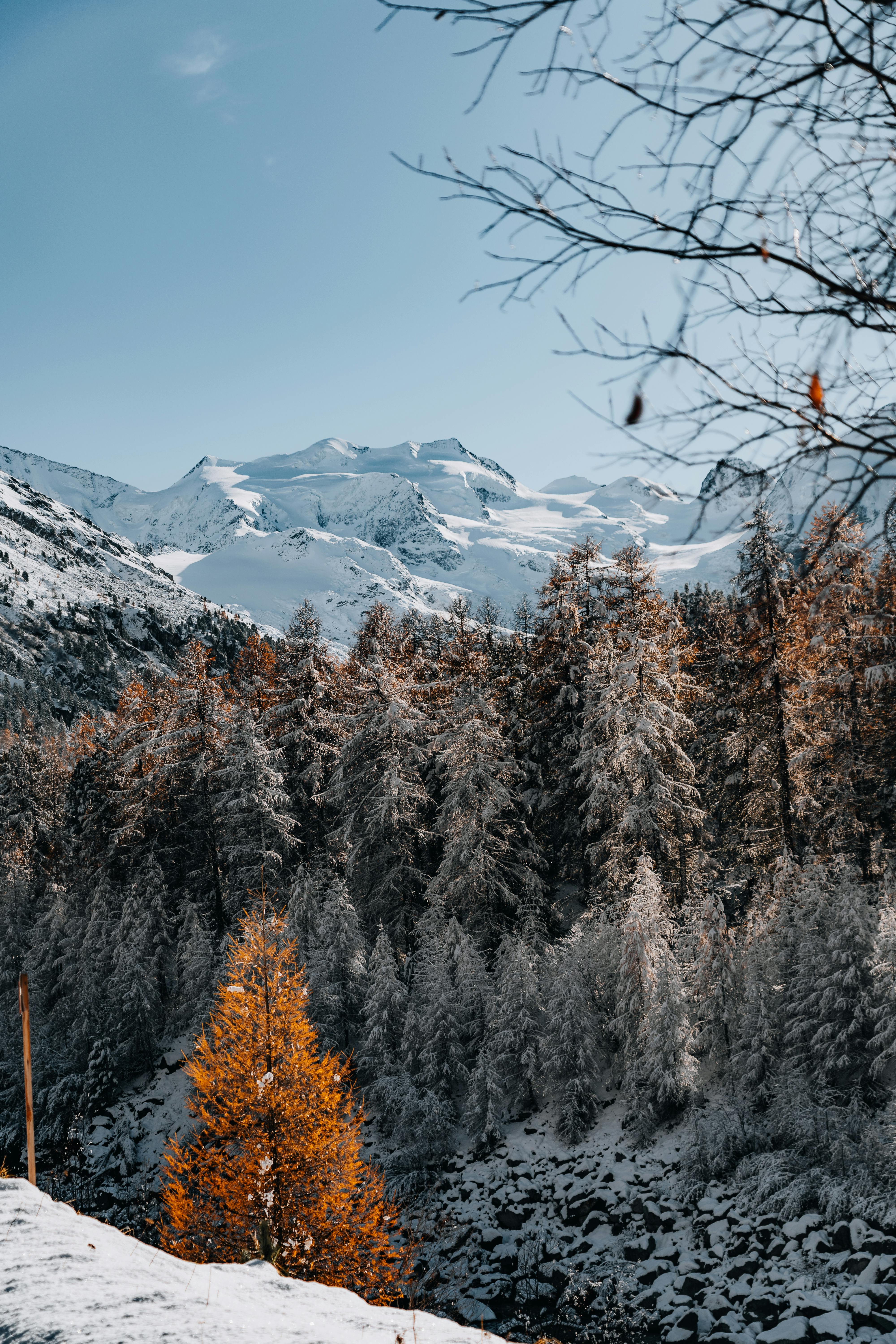 Amazing,+See+Y Photos, Download The BEST Free Amazing,+See+Y Stock ...