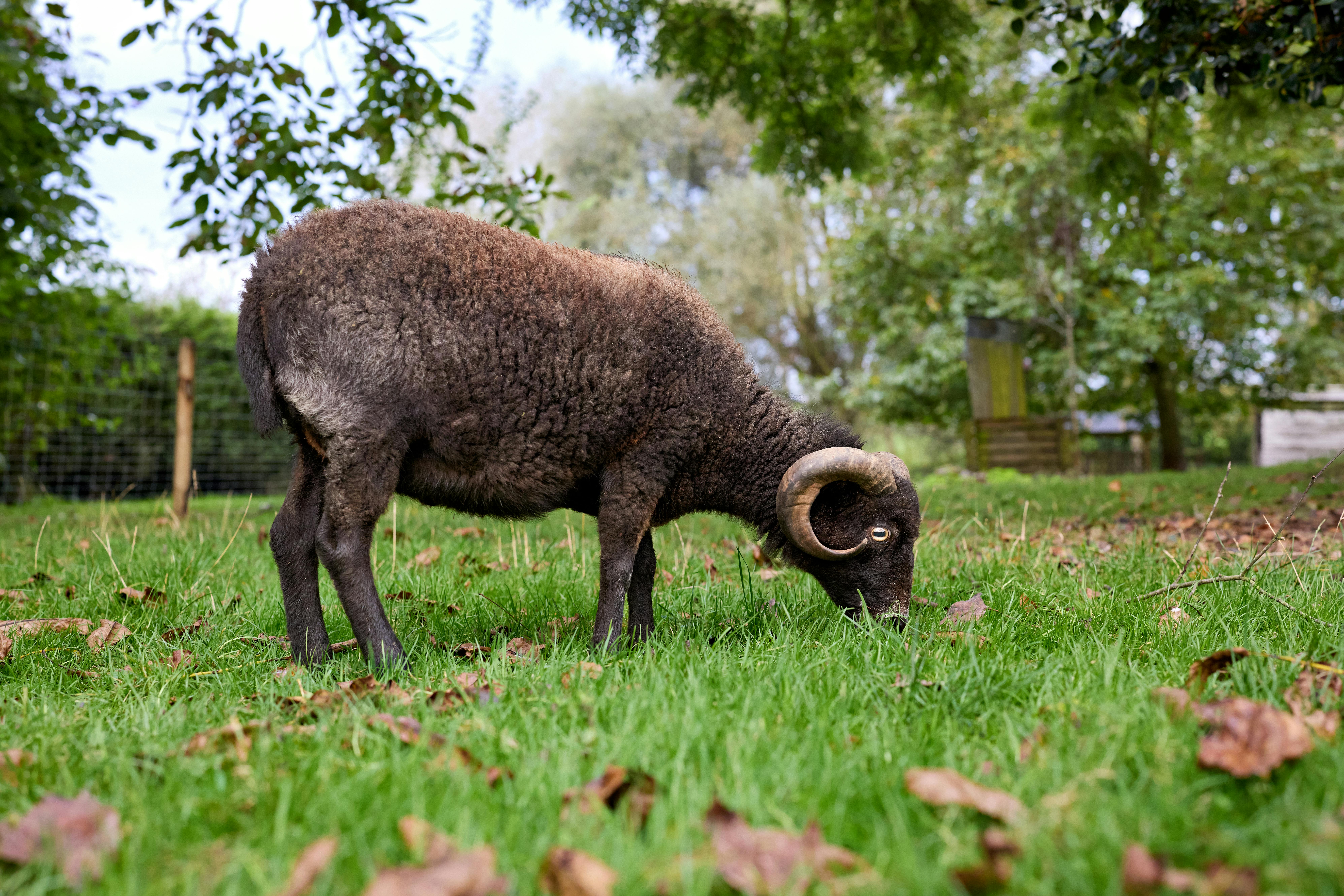 Laura+Wilson+Farms+Bikini Photos, Download The BEST Free Laura+Wilson ...