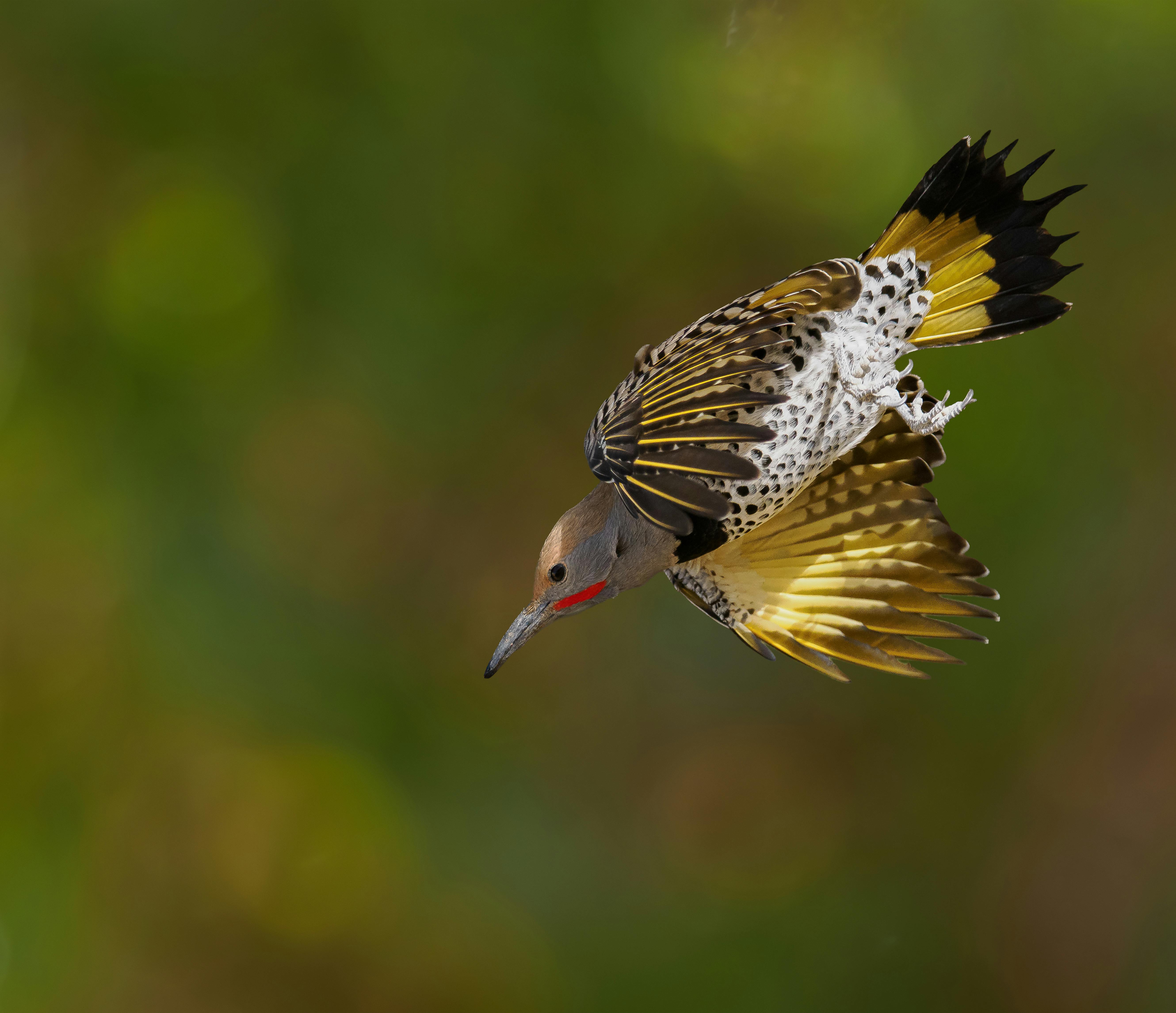 Behavior Photos, Download The BEST Free Behavior Stock Photos & HD Images