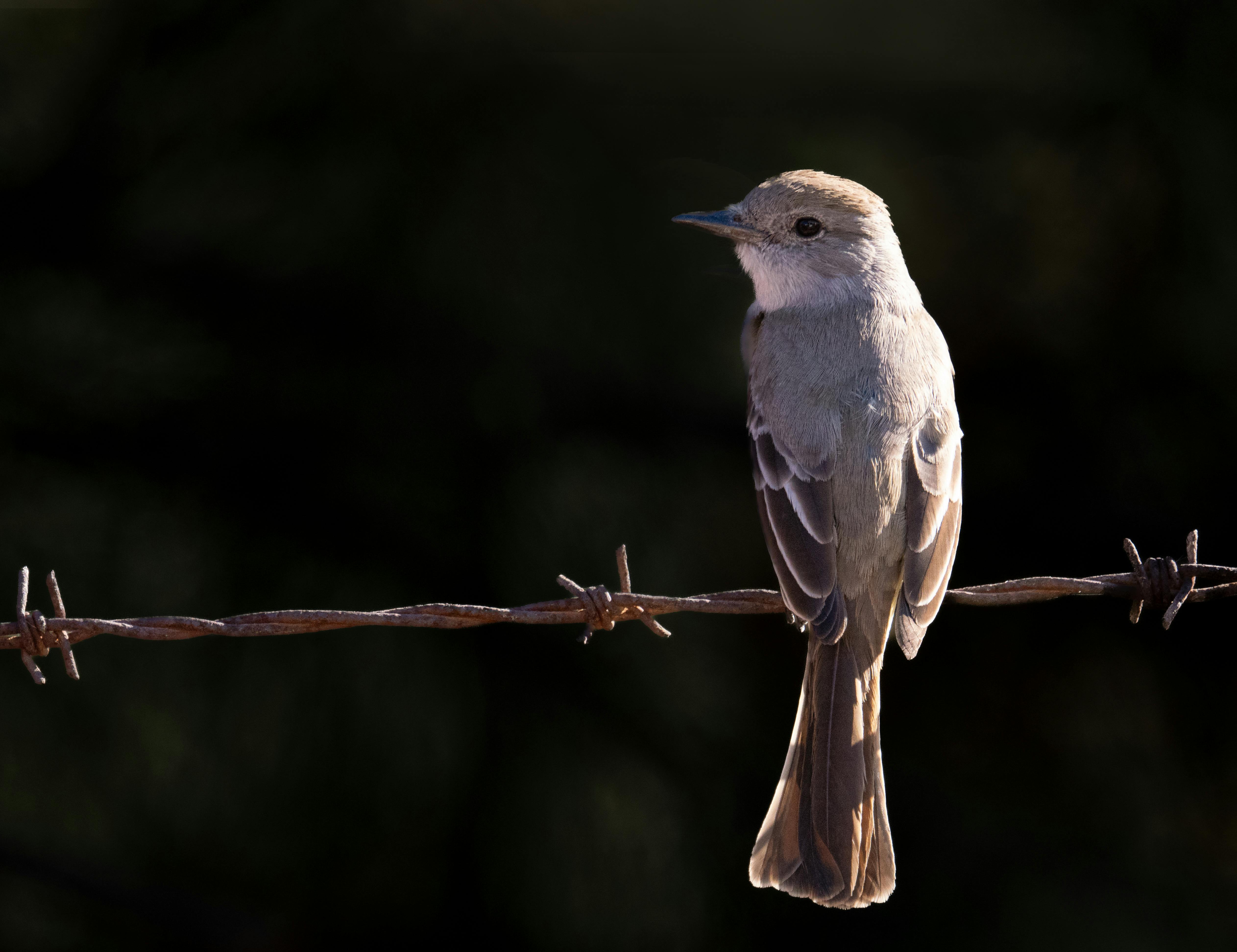 100 000+ Face+bim banque d’images et photos libres de droit ...