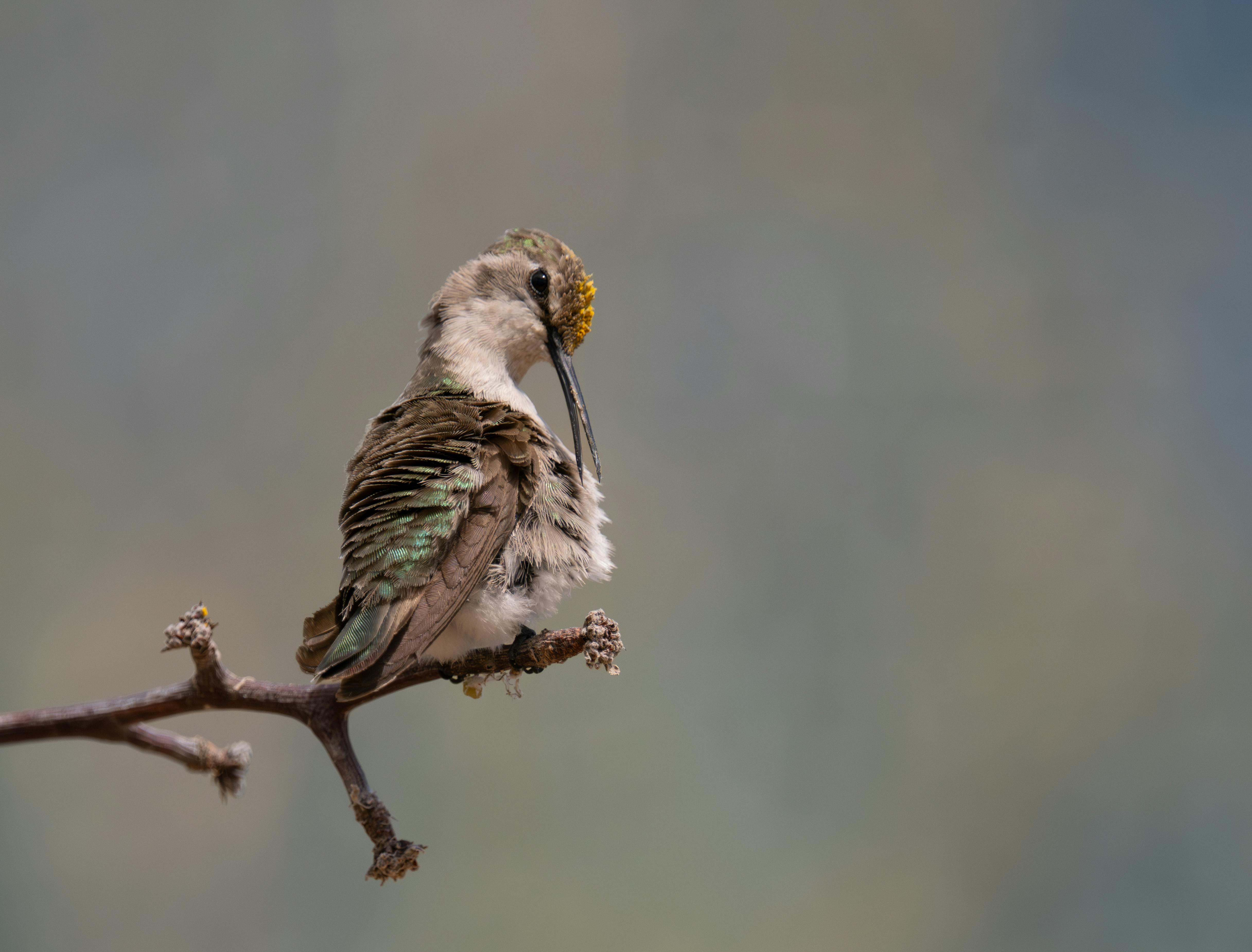 Tarp Background Photos, Download The BEST Free Tarp Background Stock ...