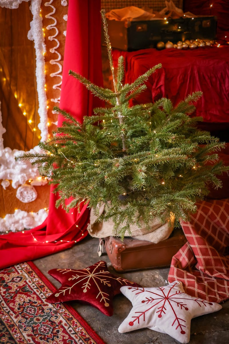 50+Foot+Christmas+L Photos, Download The BEST Free 50+Foot+Christmas+L ...