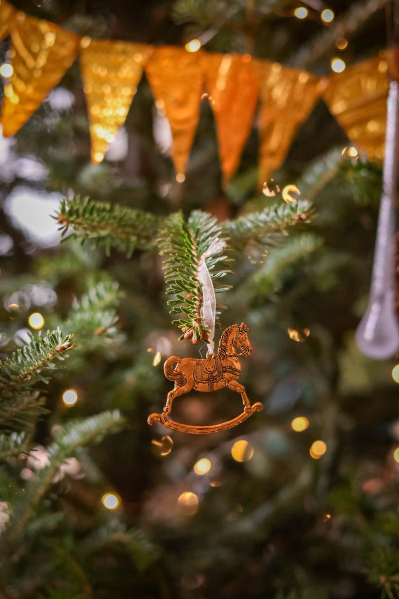 Christmas December Photos, Download The BEST Free Christmas December ...