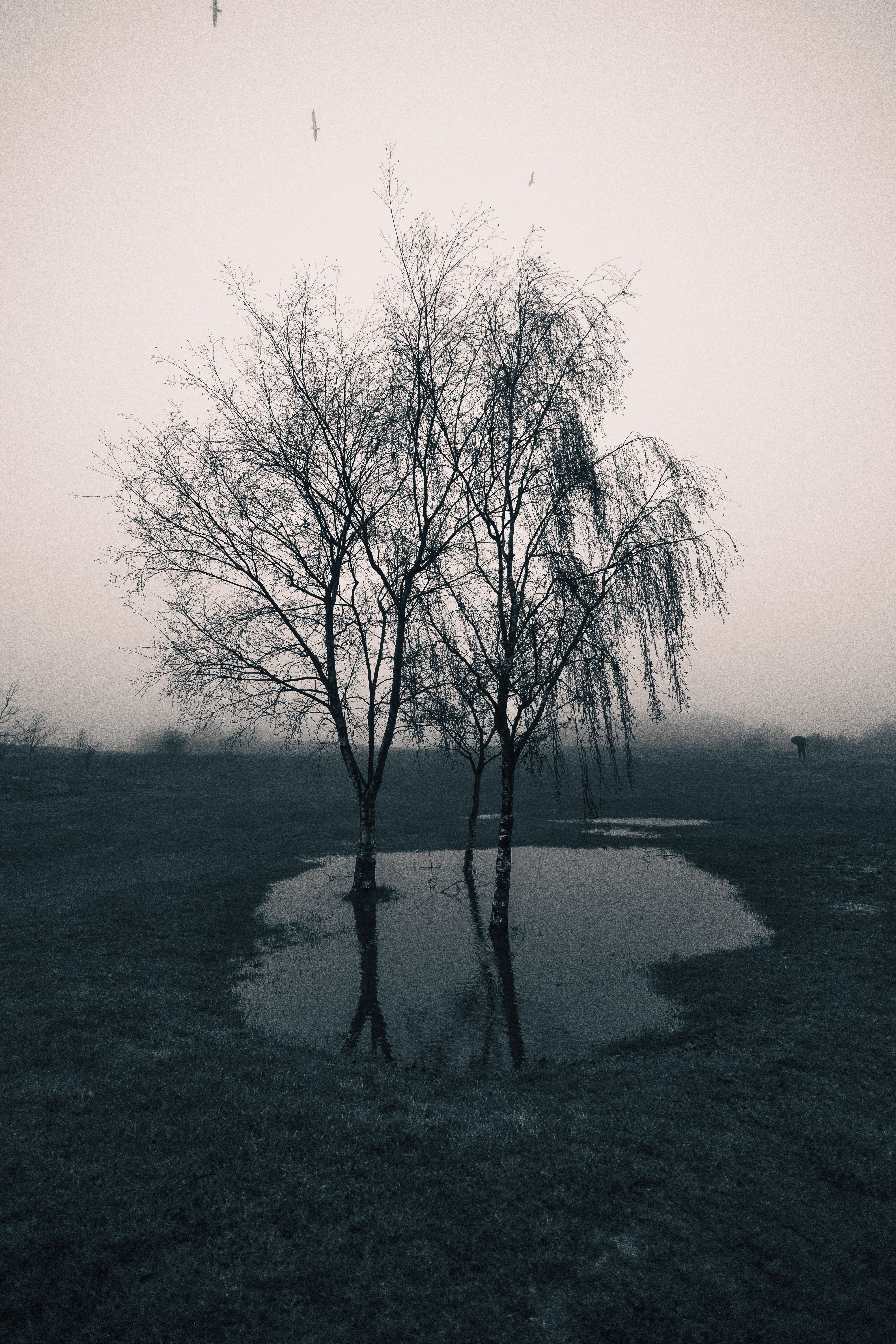 Gloomy Sky Photos, Download The BEST Free Gloomy Sky Stock Photos & HD ...