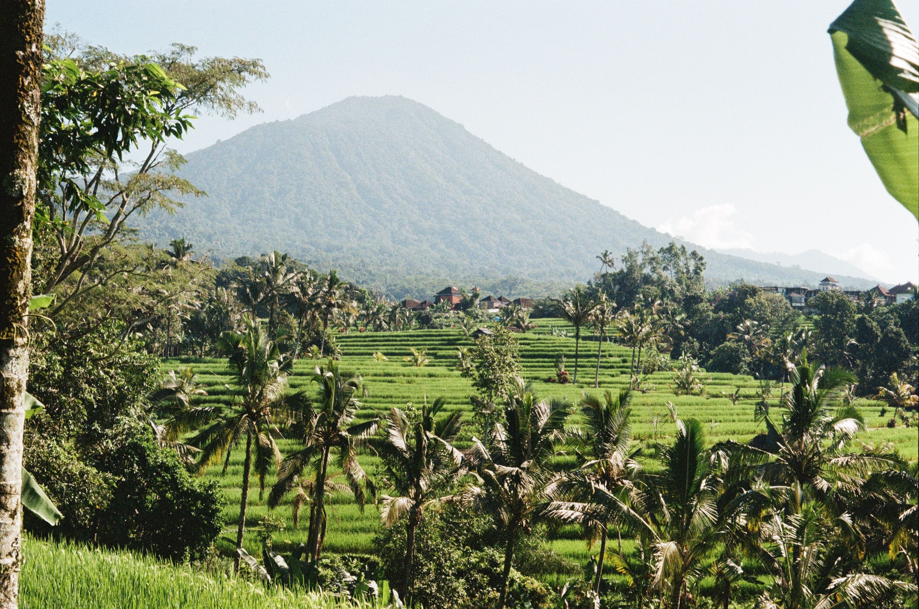 Stunning Bali Rice Terraces with Mount Agung · Free Stock Photo