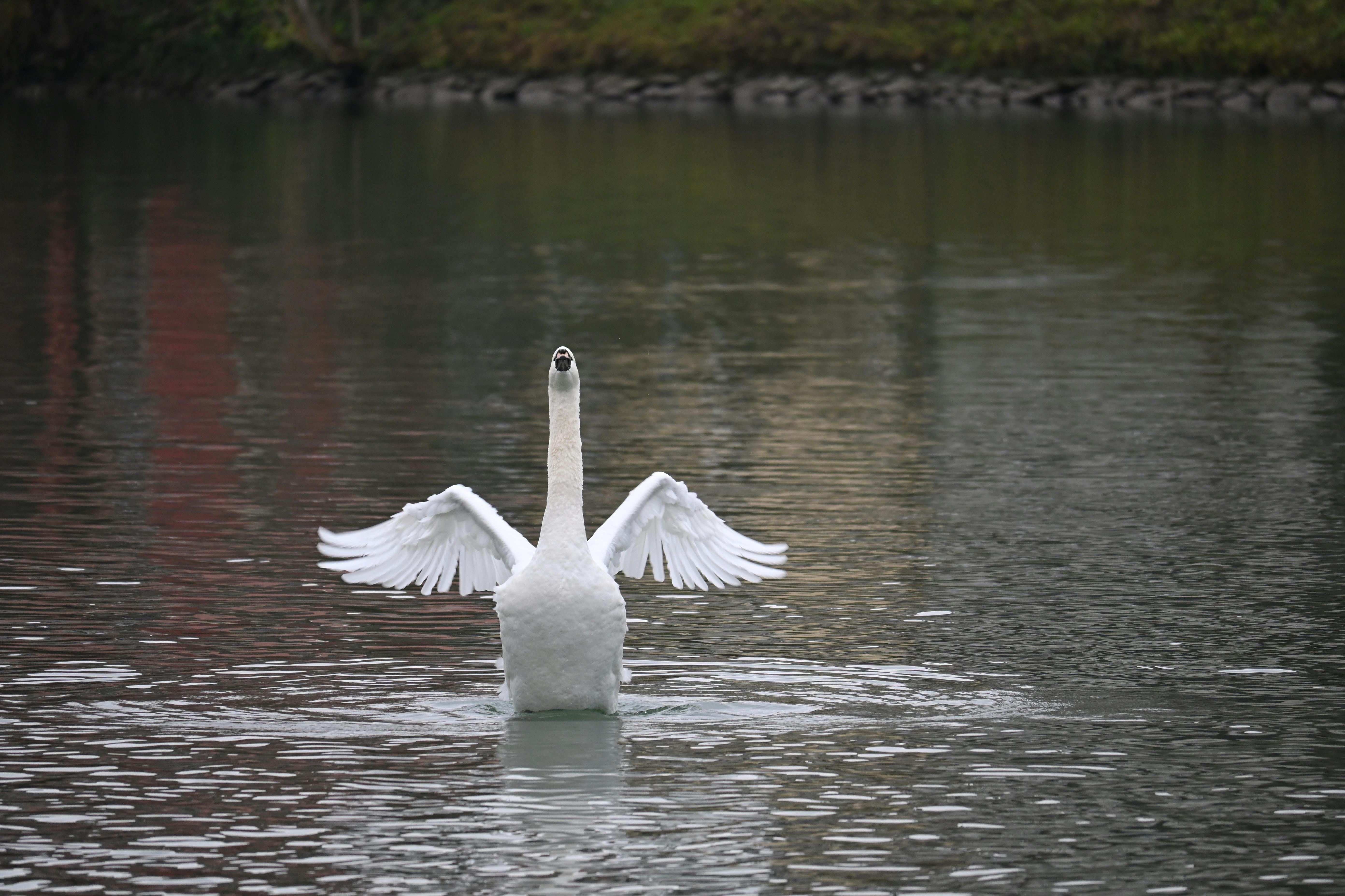 и+S Photos, Download The BEST Free и+S Stock Photos & HD Images