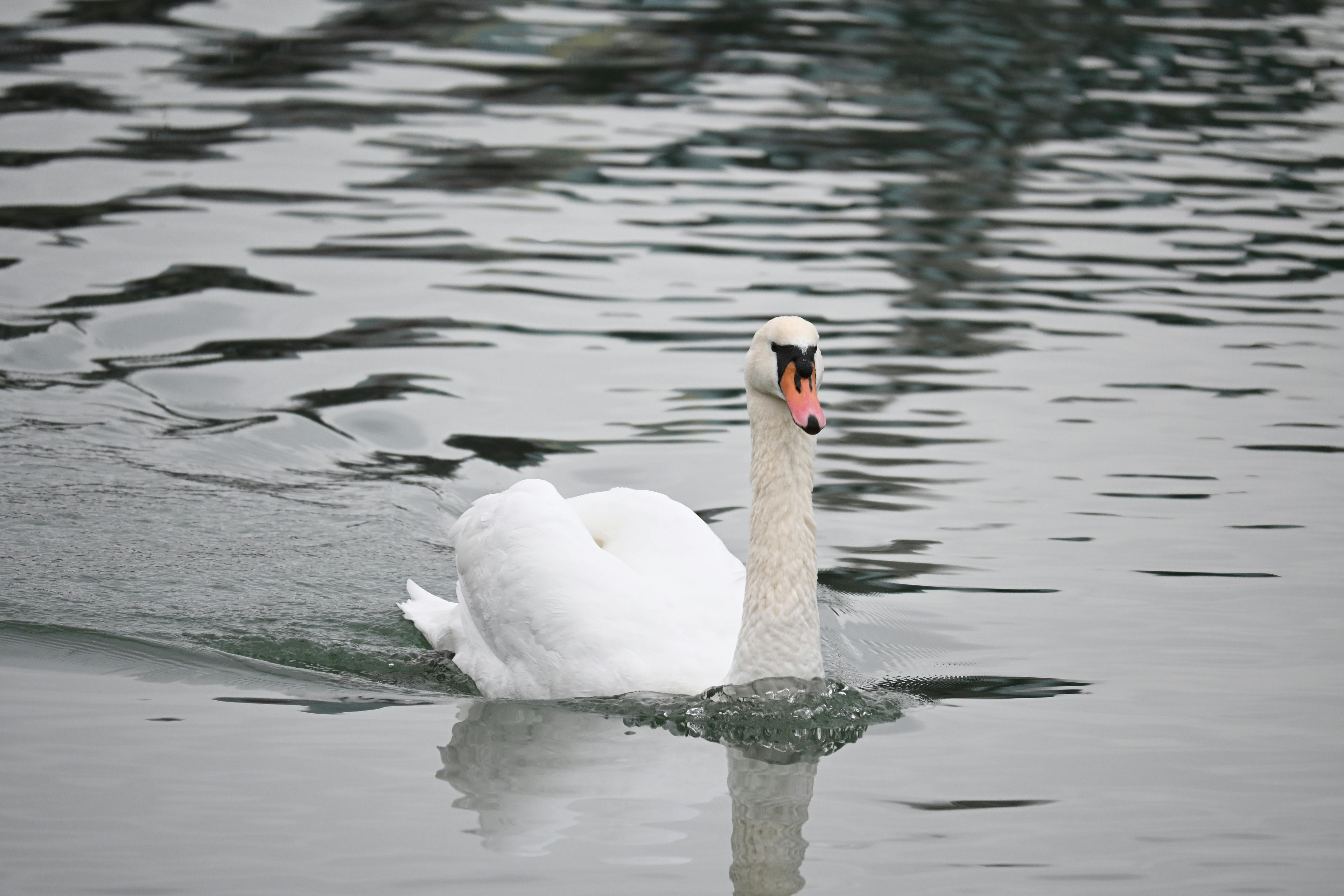 и+S Photos, Download The BEST Free и+S Stock Photos & HD Images