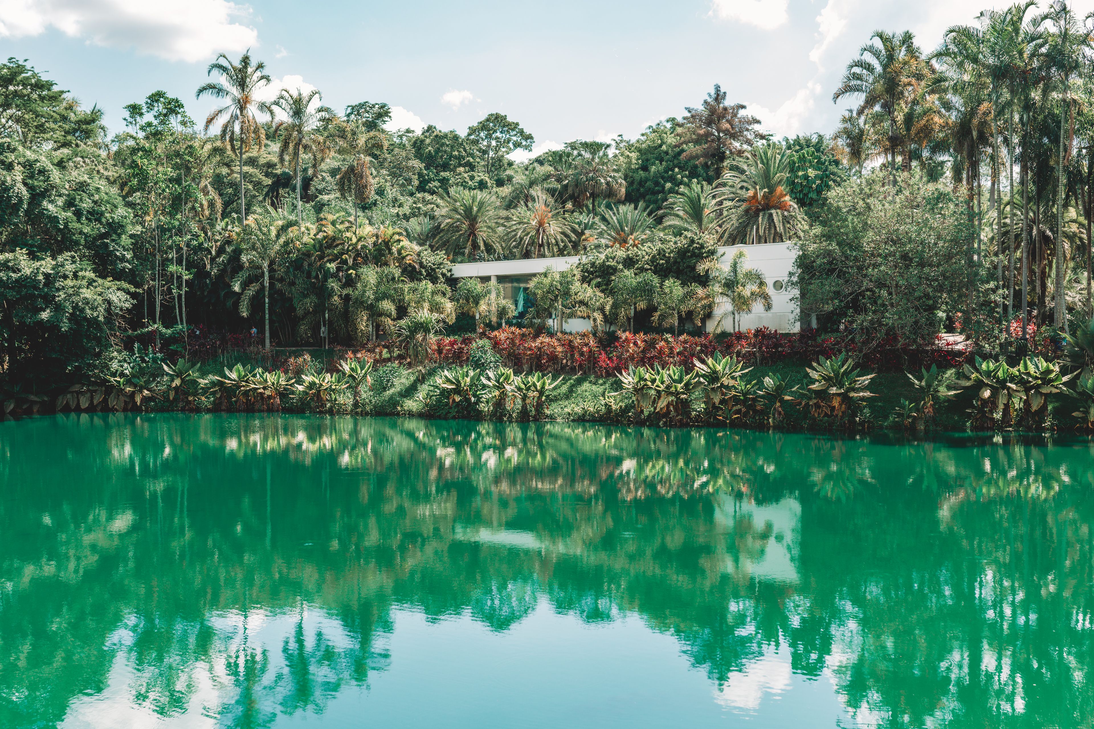 Serene Botanical Garden Landscape in Brazil · Free Stock Photo