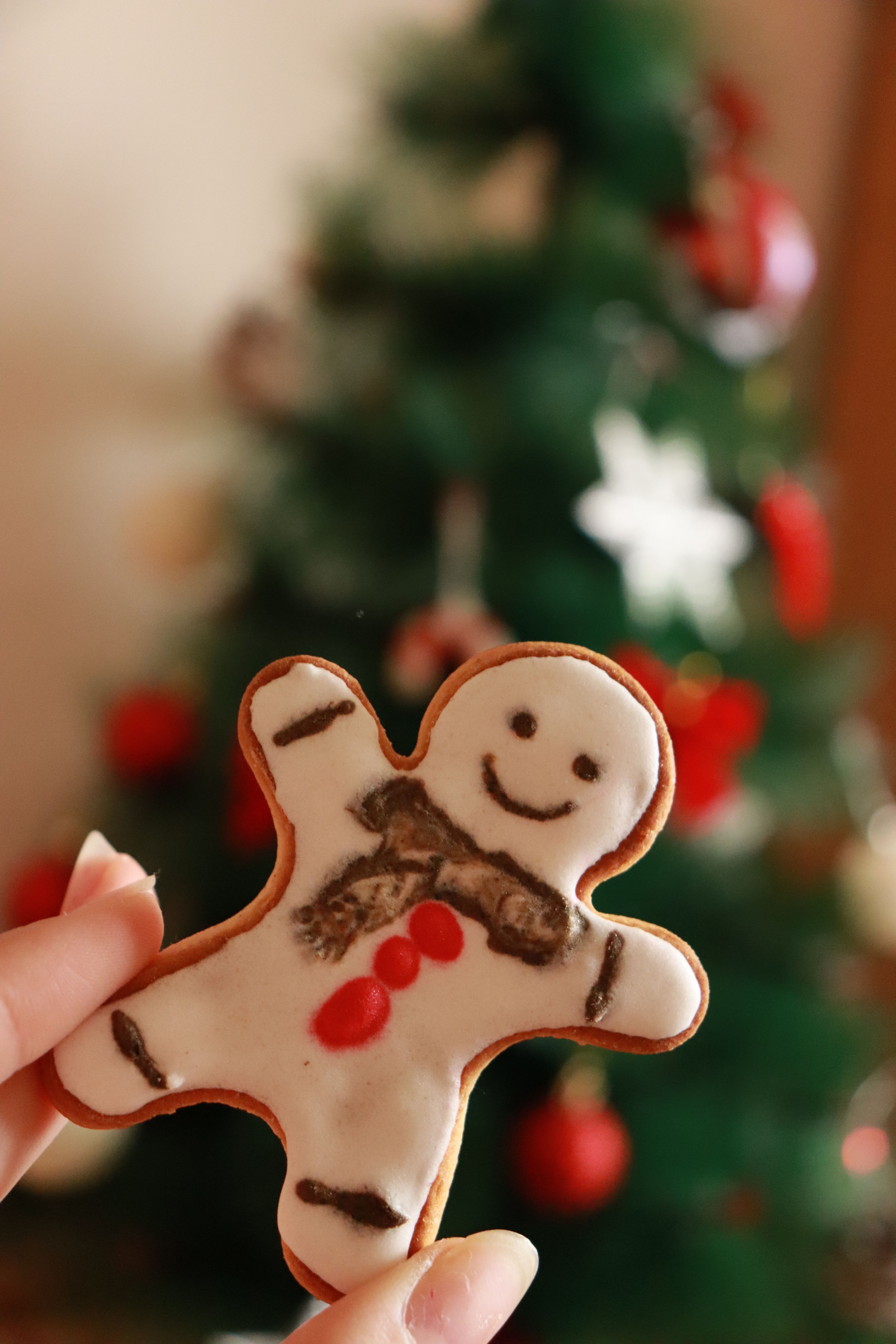 Gingerbread Man Photos, Download The BEST Free Gingerbread Man Stock ...