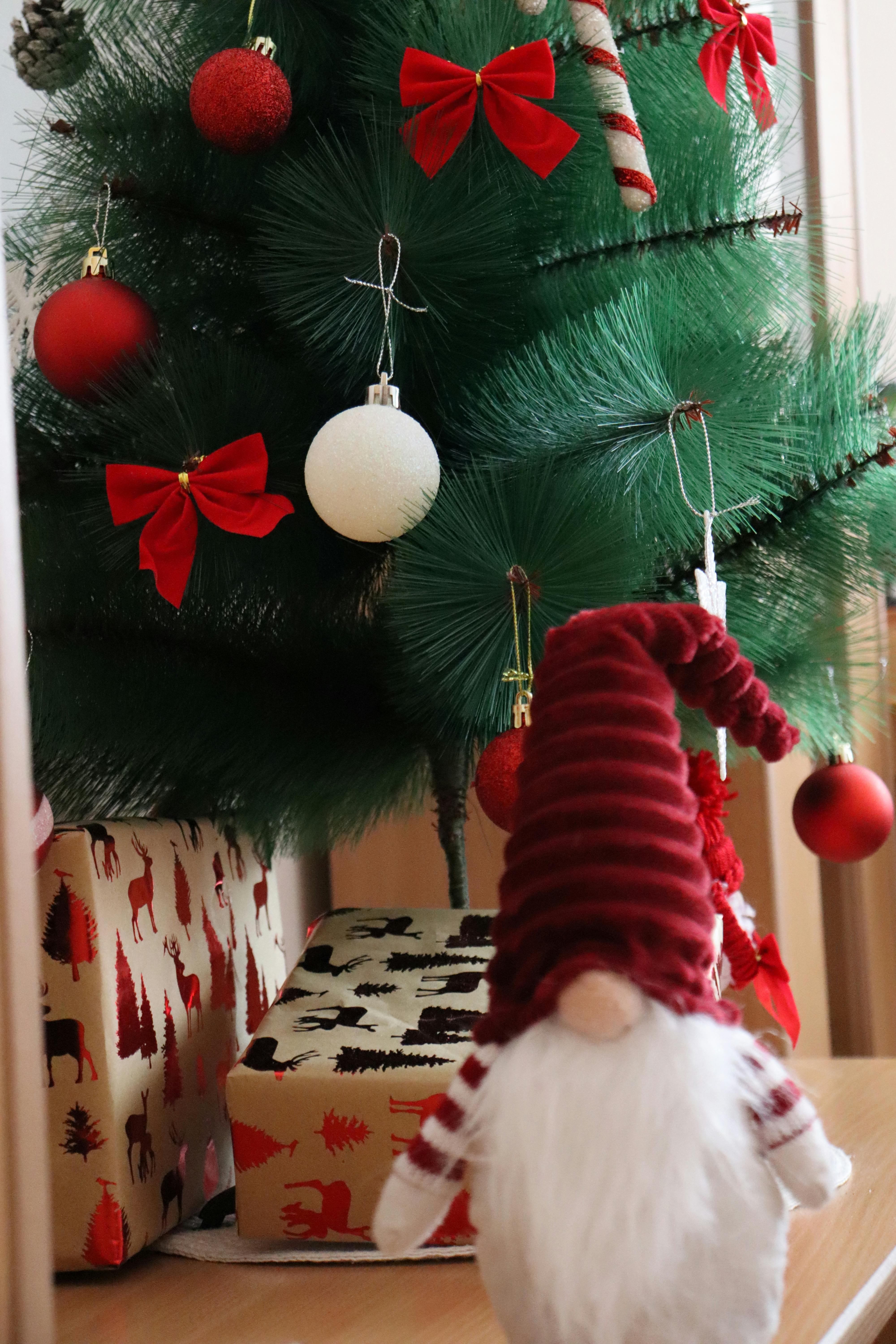 Elf Photos, Download The BEST Free Elf Stock Photos & HD Images