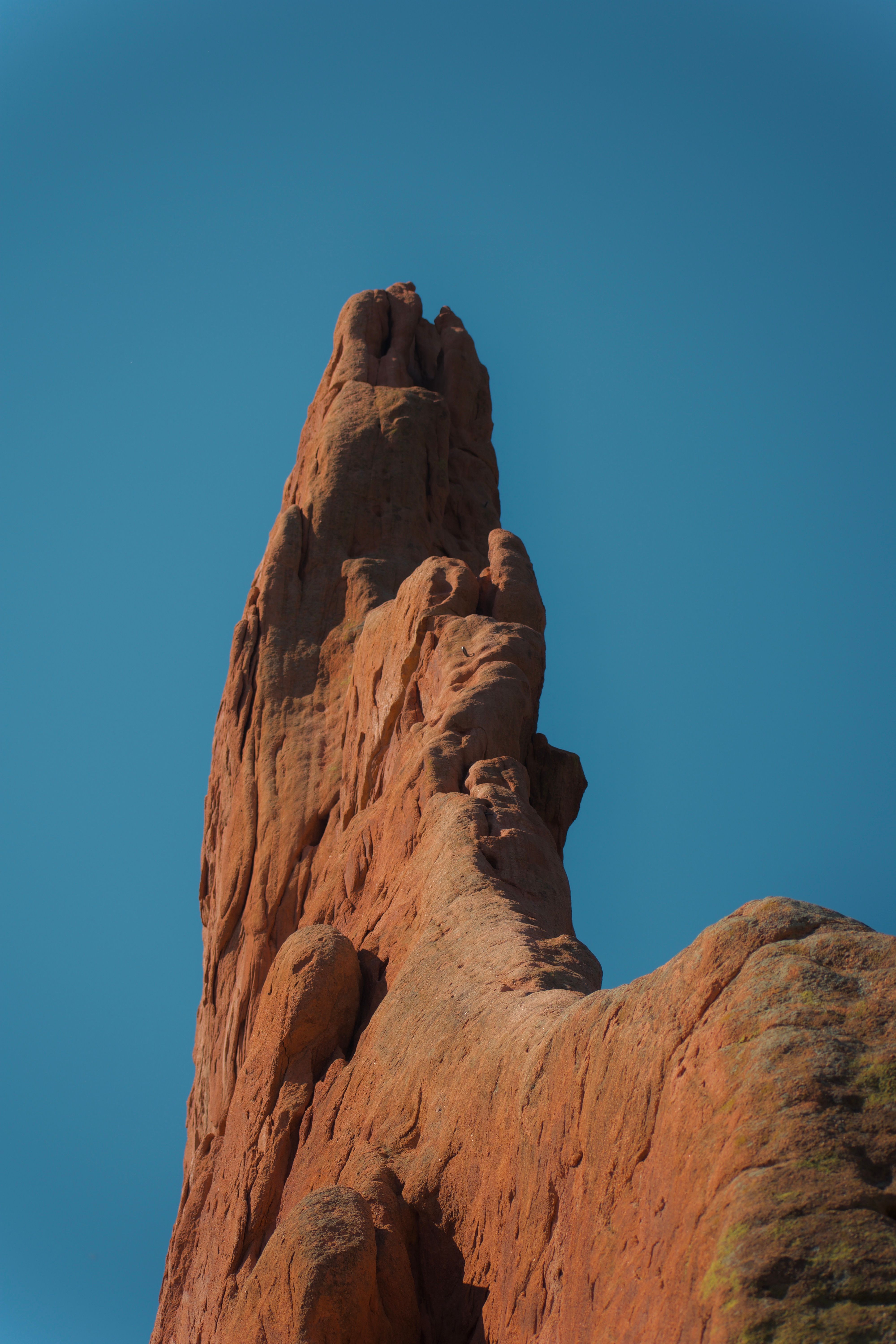 Surviving In The Desert Photos, Download The BEST Free Surviving In The ...