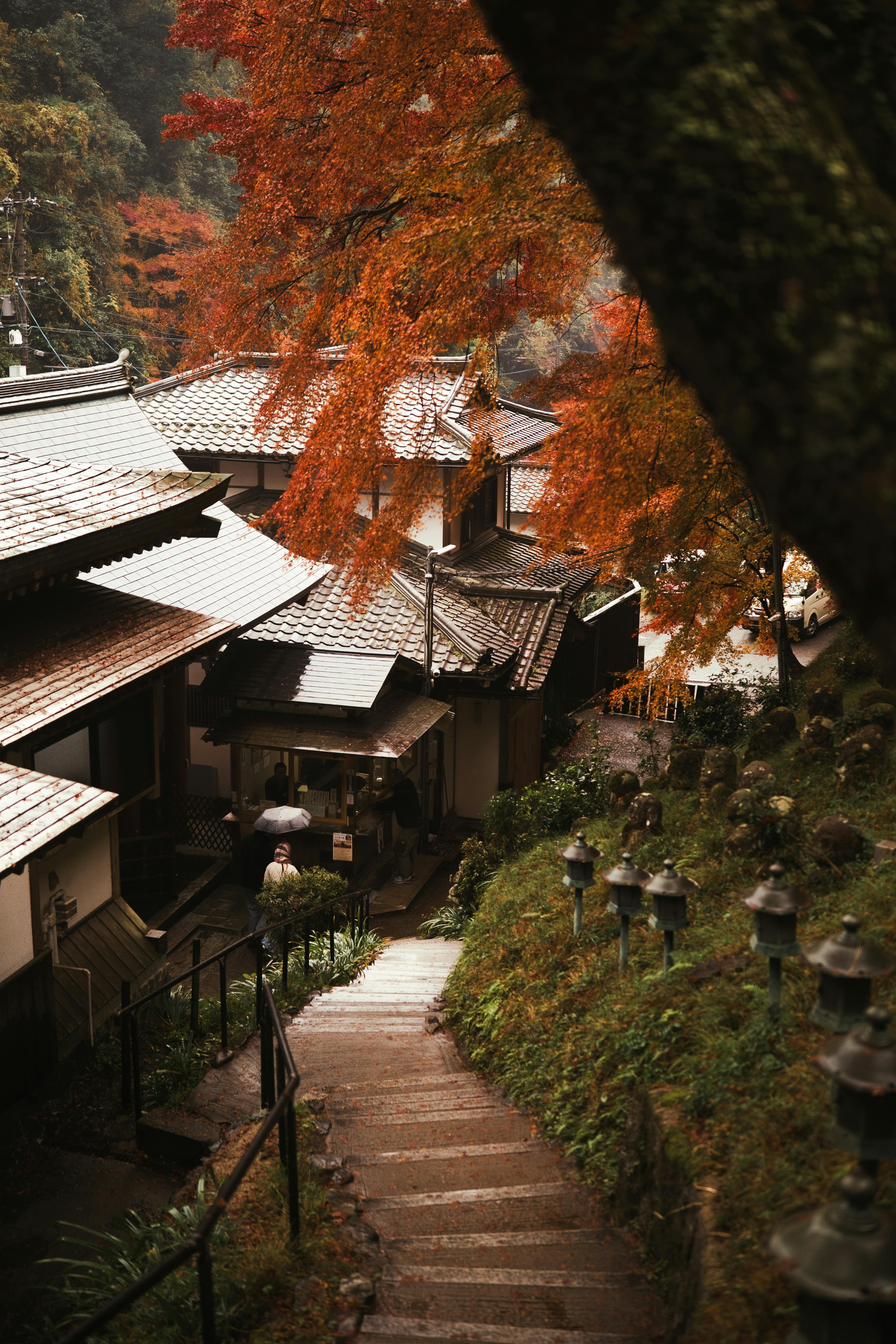 Cute+Drawings+Without+Colour Photos, Download The BEST Free Cute ...