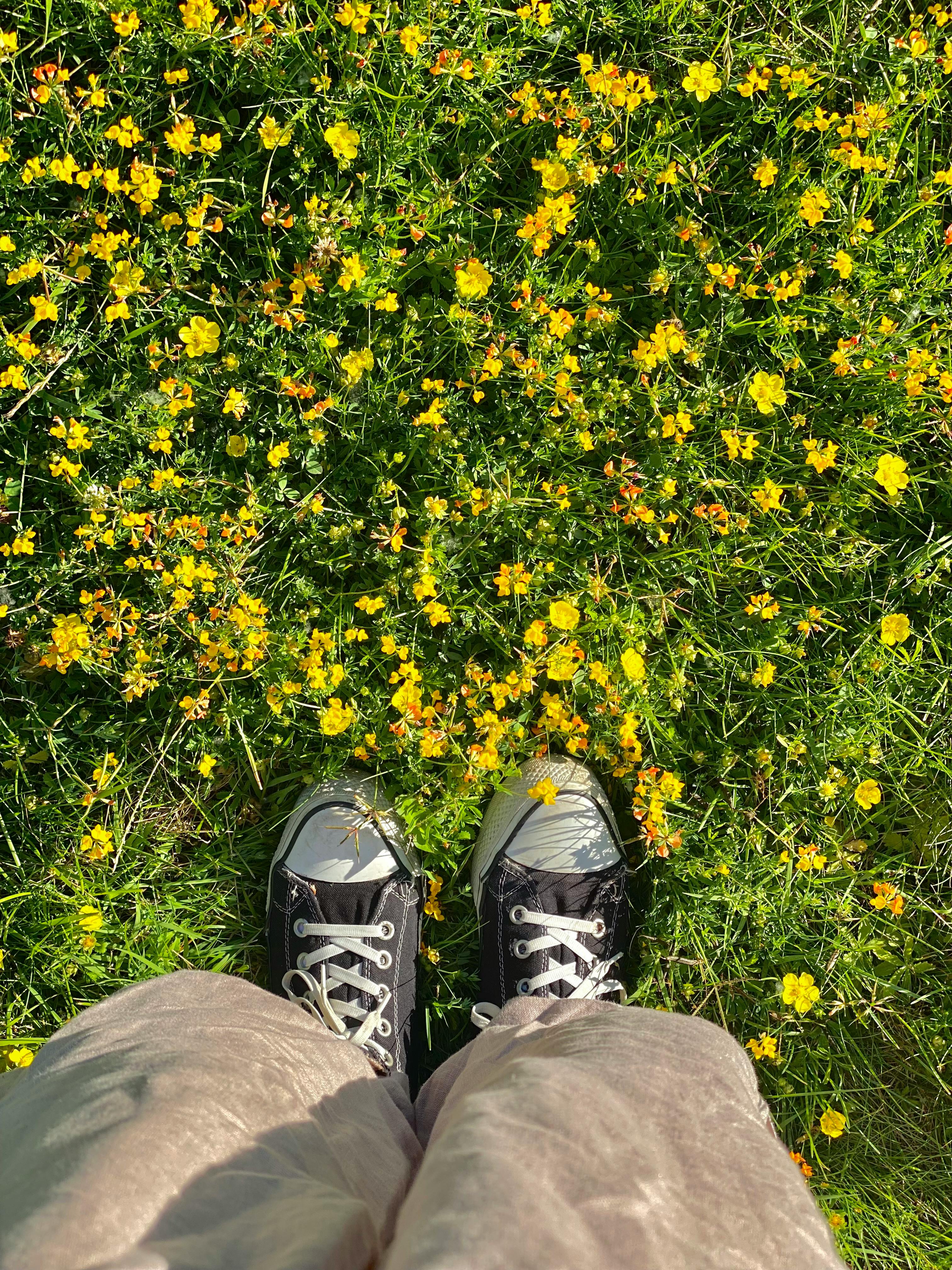 Shrek+Feet Photos, Download The BEST Free Shrek+Feet Stock Photos & HD ...