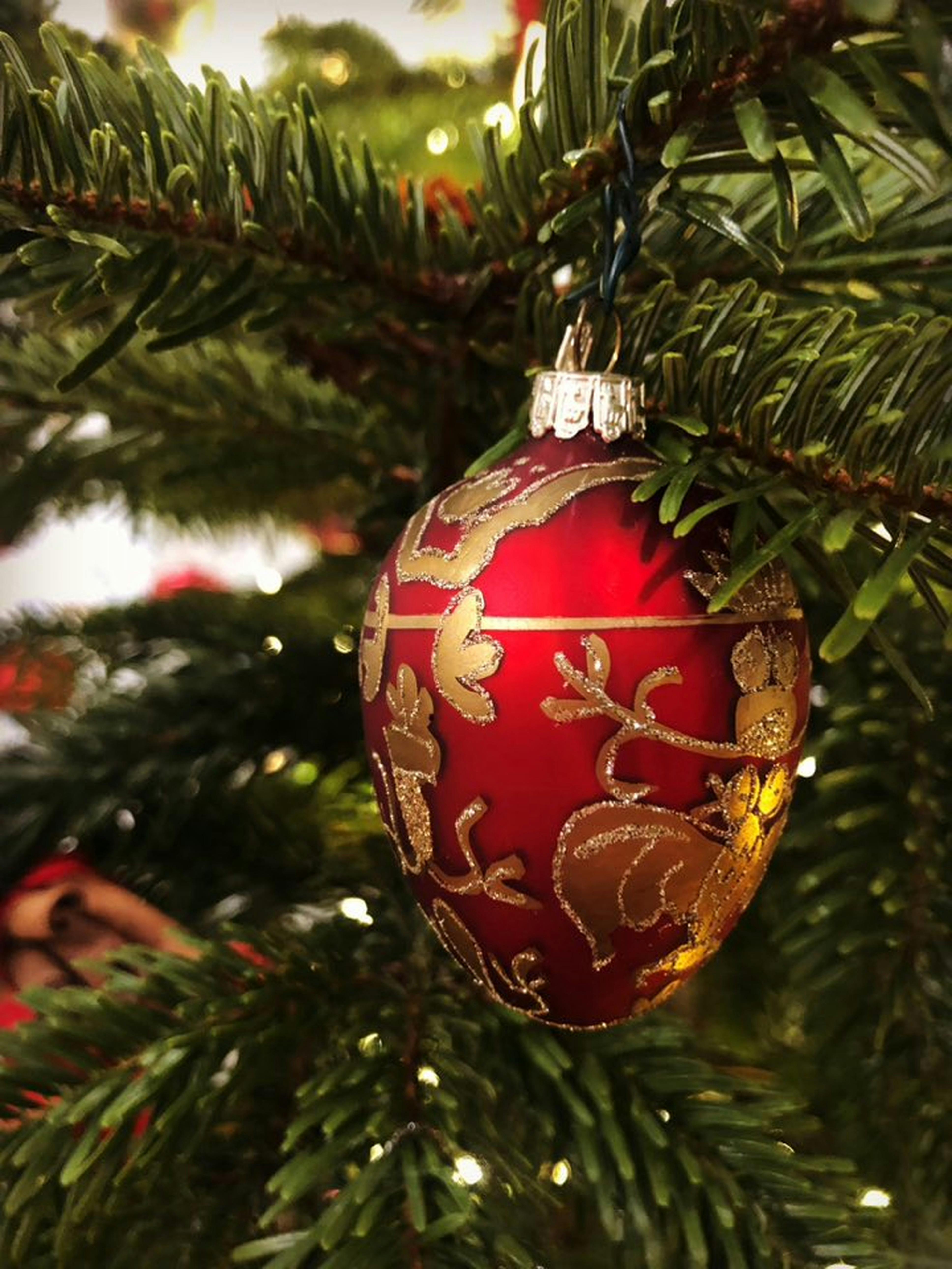 Christmas December Photos, Download The BEST Free Christmas December ...