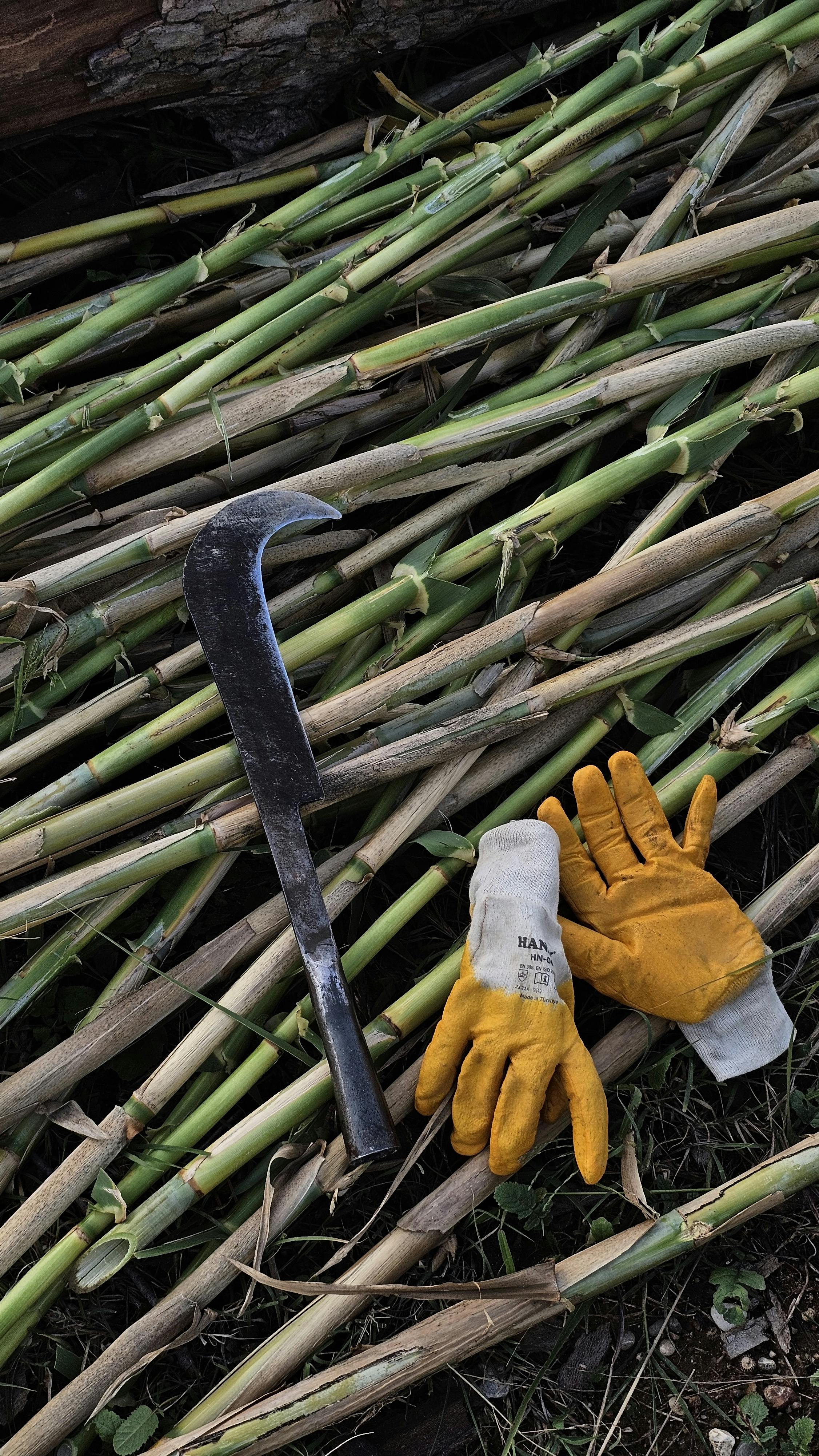 Hand Tools Photos, Download The BEST Free Hand Tools Stock Photos & HD ...