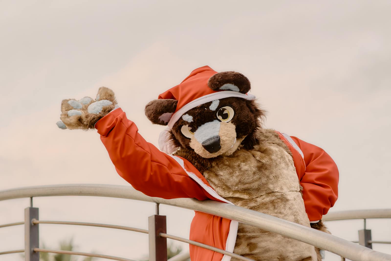 Waving Photos, Download The BEST Free Waving Stock Photos & HD Images