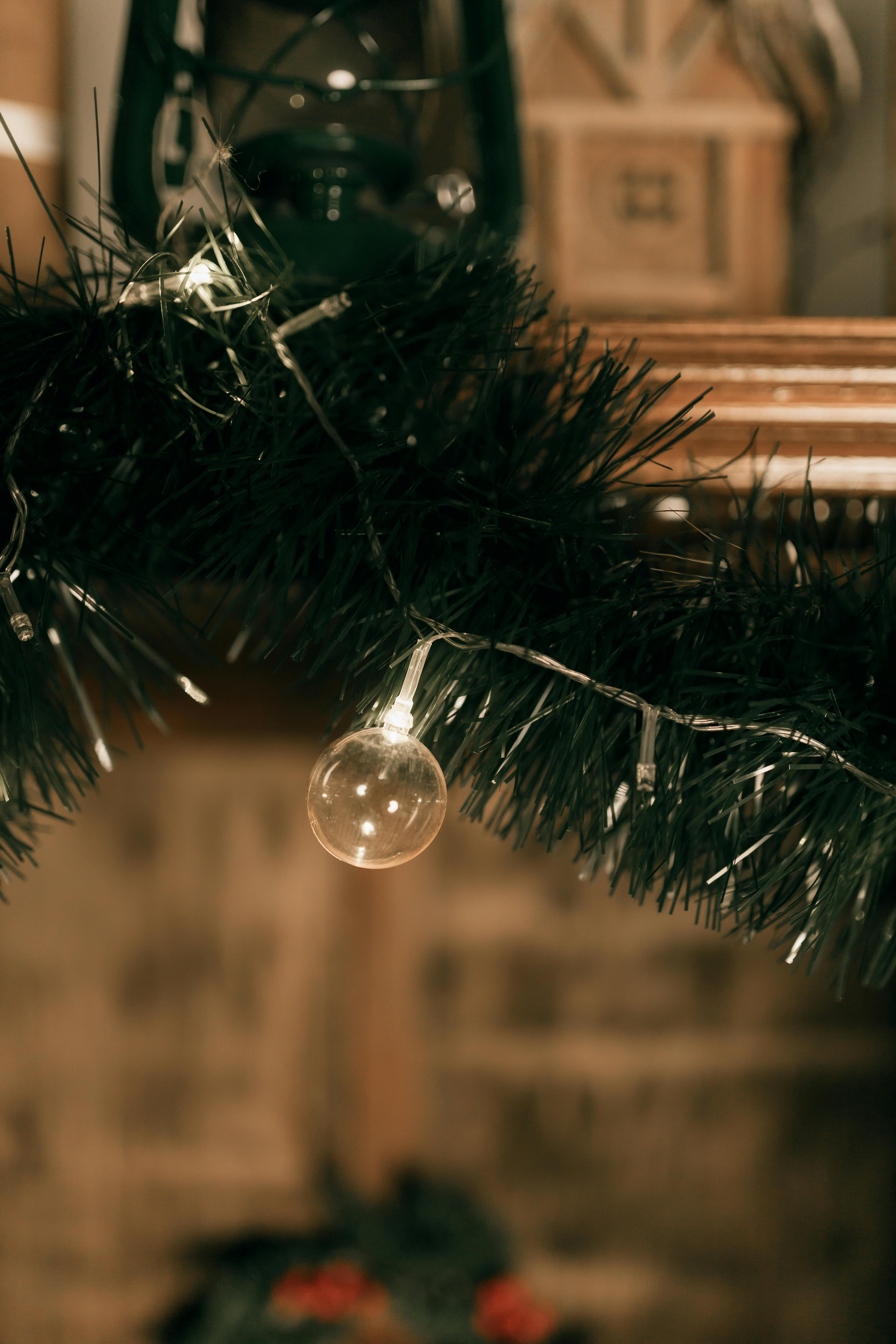 Christmas December Photos, Download The BEST Free Christmas December ...