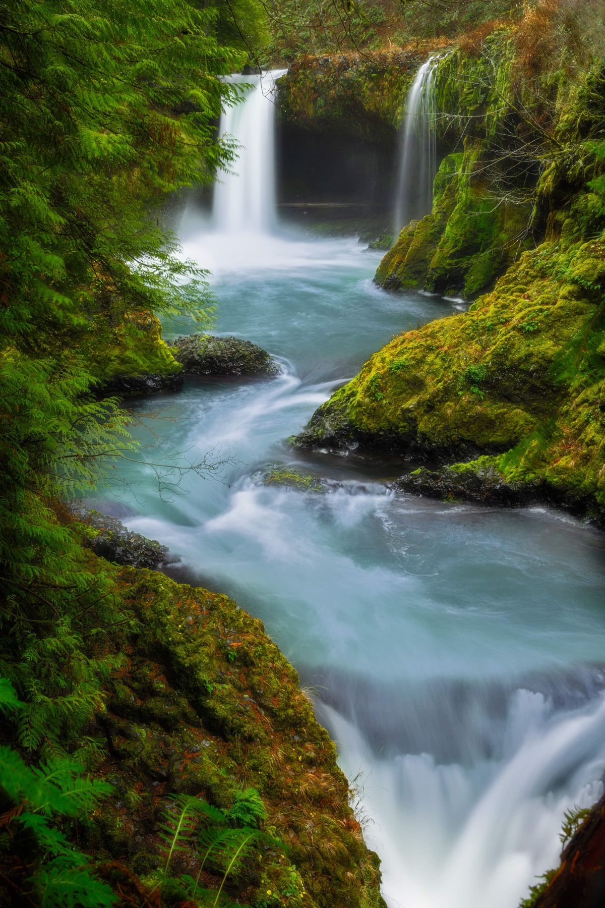 Washington State Photos, Download The BEST Free Washington State Stock ...
