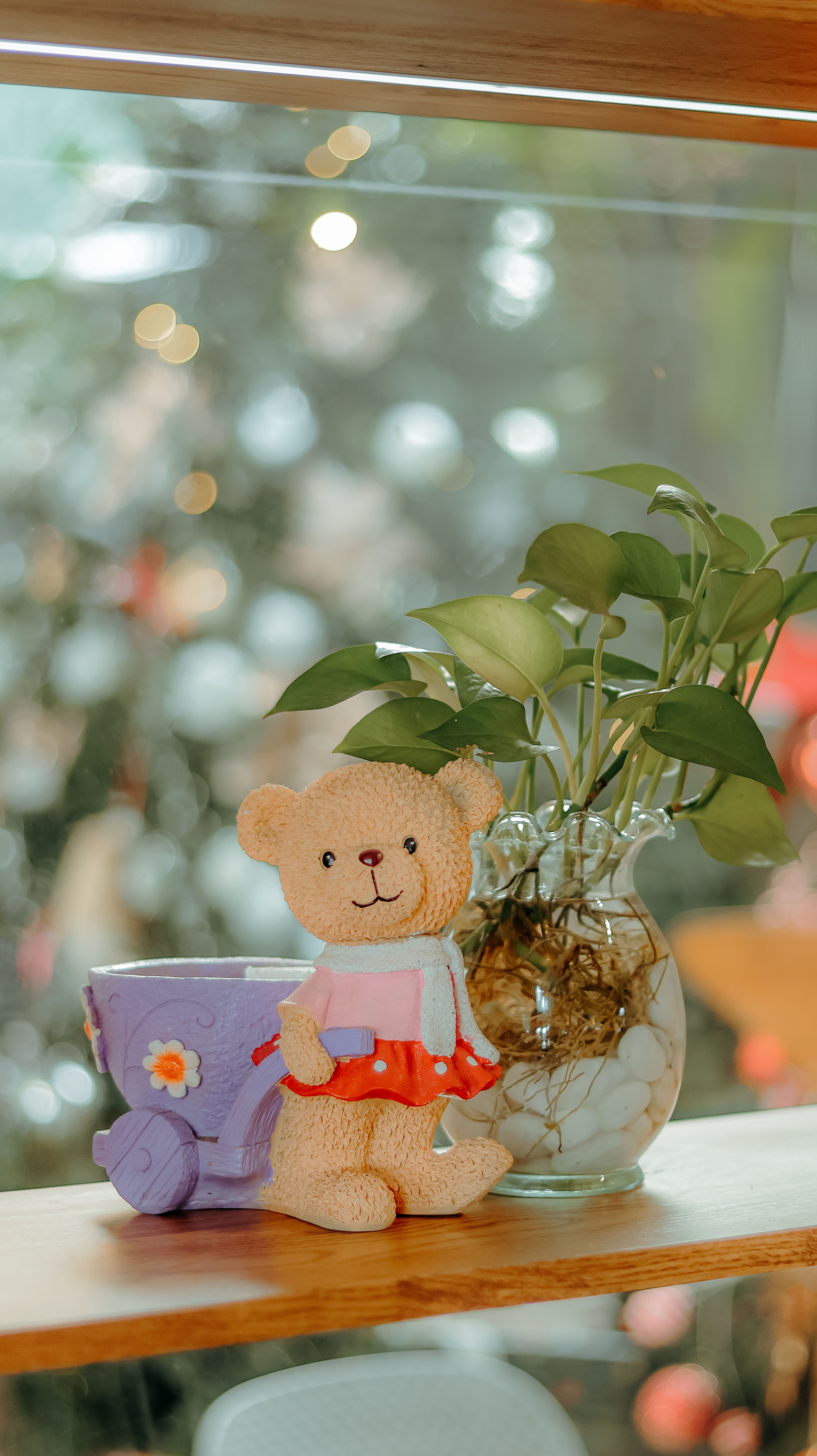 Cute Teddy Bear with Plant on Shelf Indoors · Free Stock Photo