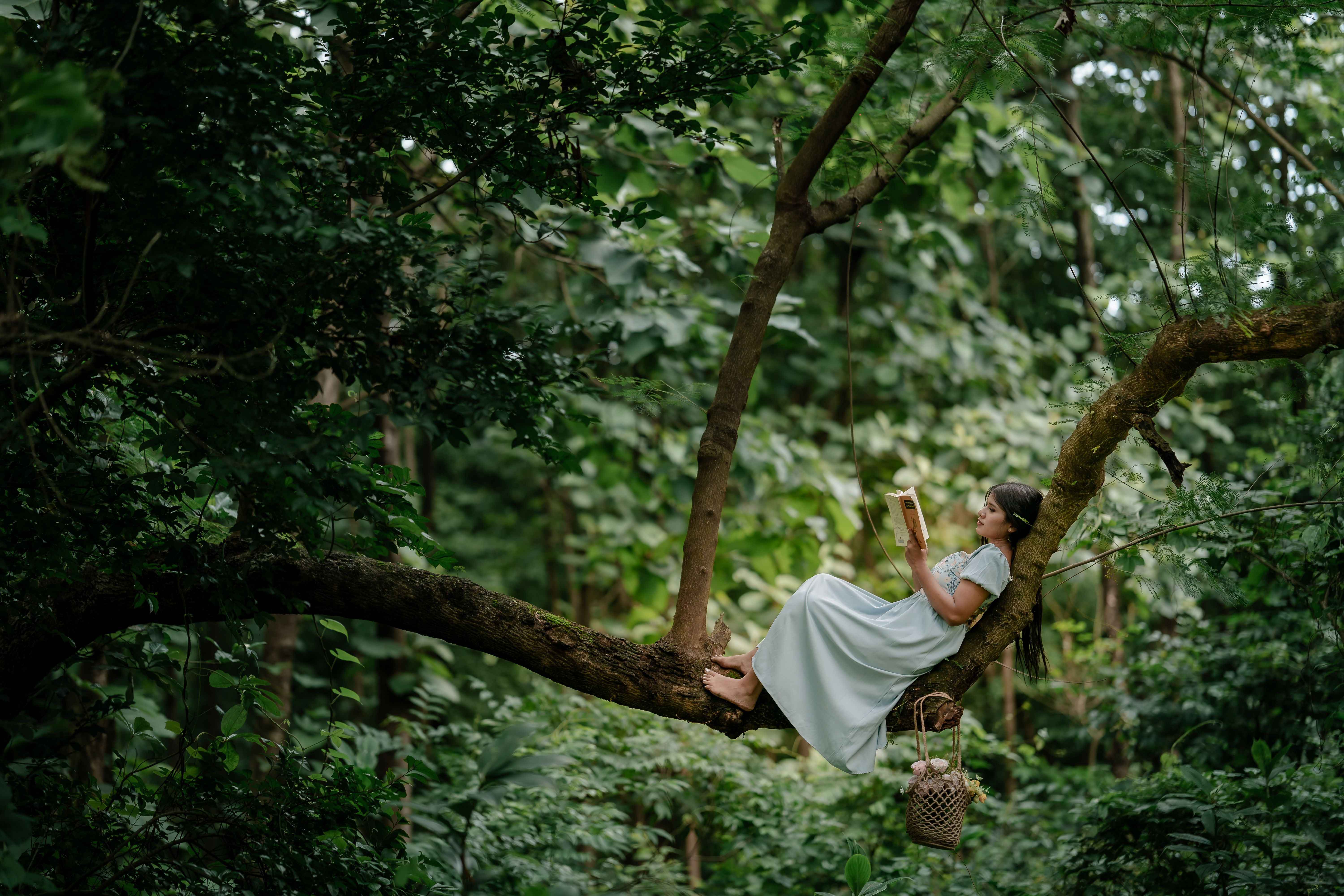 Woman Reading on Tree Branch in Forest · Free Stock Photo
