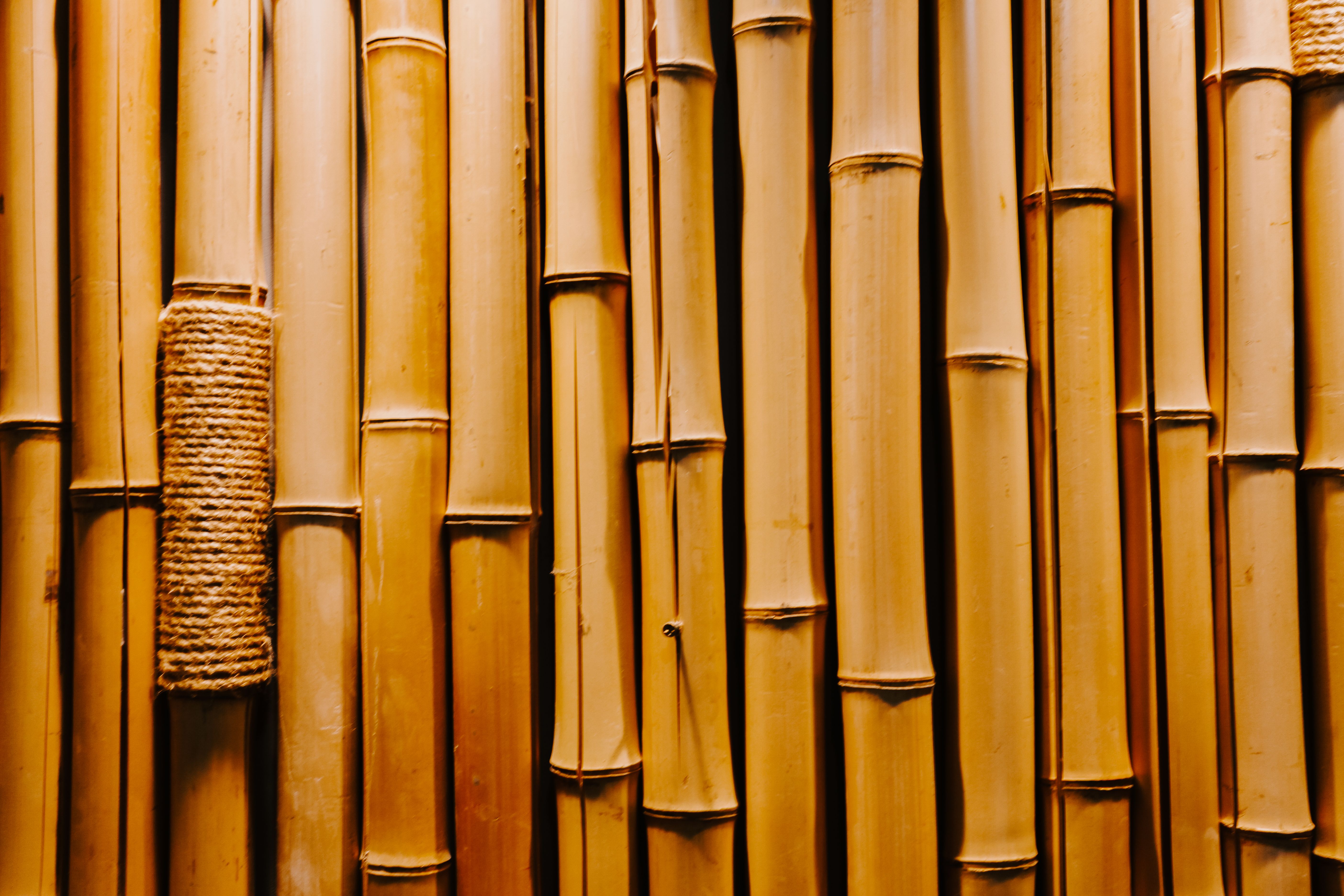 Textured Bamboo Wall with Warm Tones · Free Stock Photo