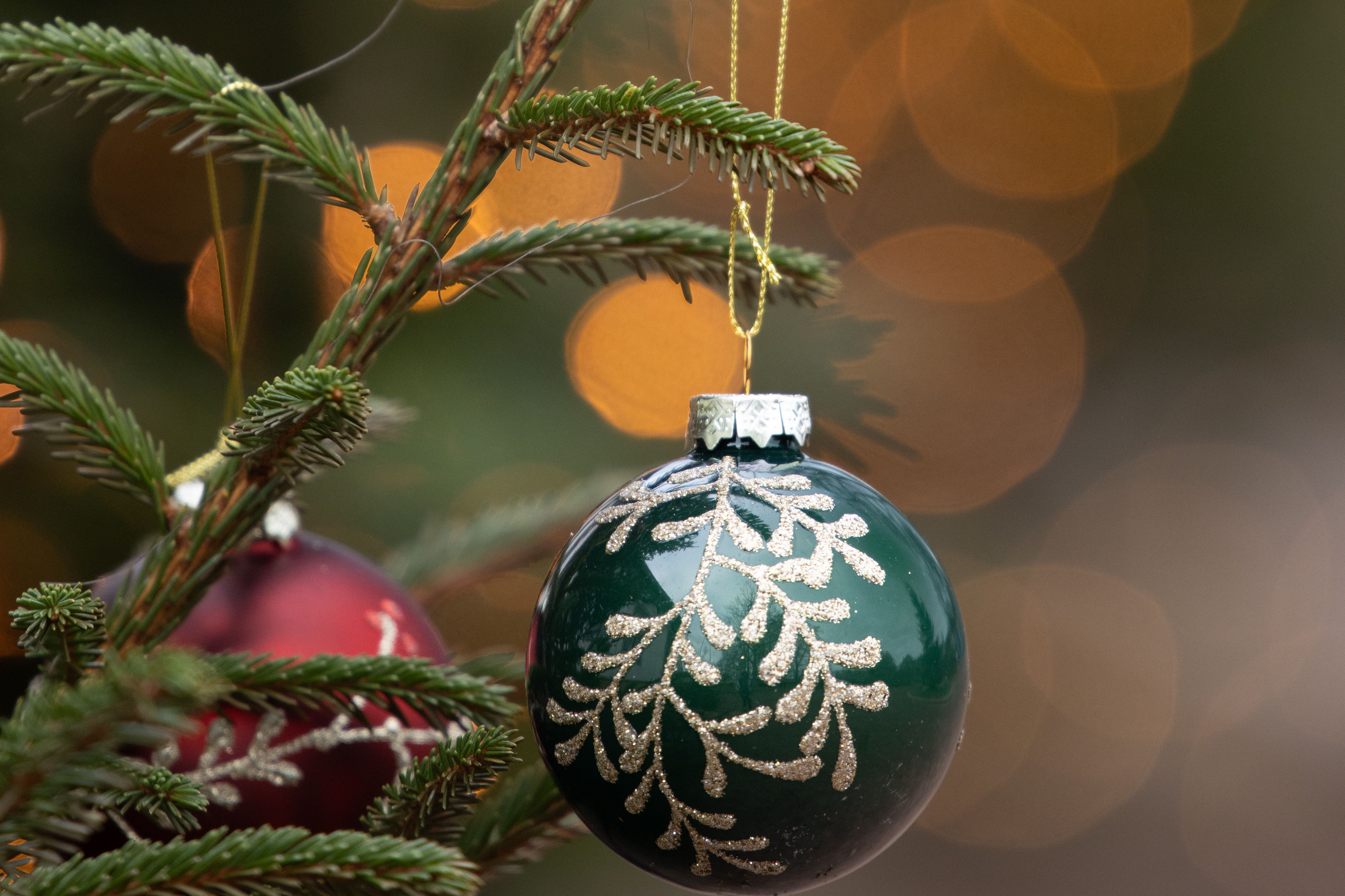 Elegant Christmas Baubles on a Tree Branch · Free Stock Photo