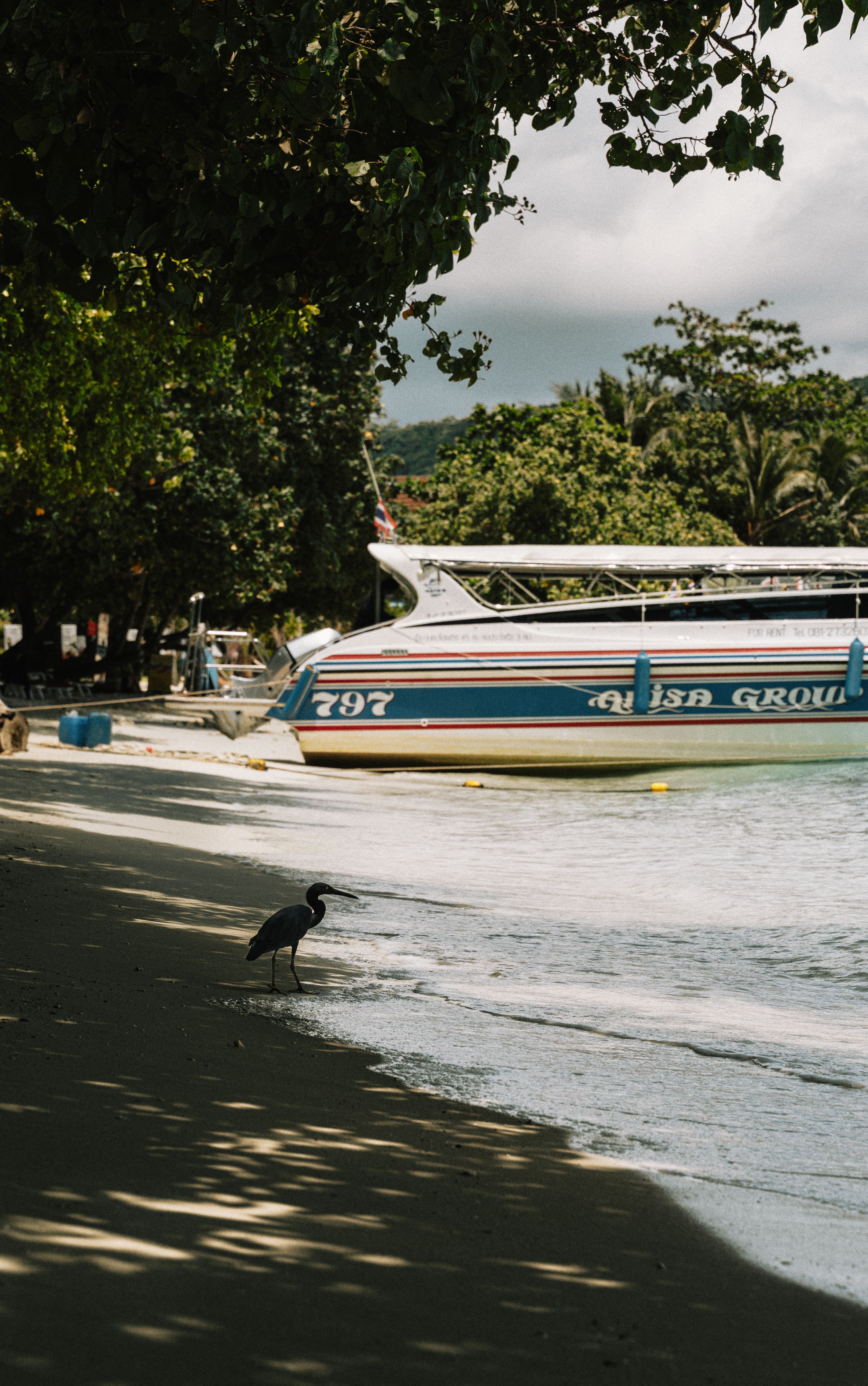 Scenic Beachfront with Boat and Egret in Ko Panyi · Free Stock Photo