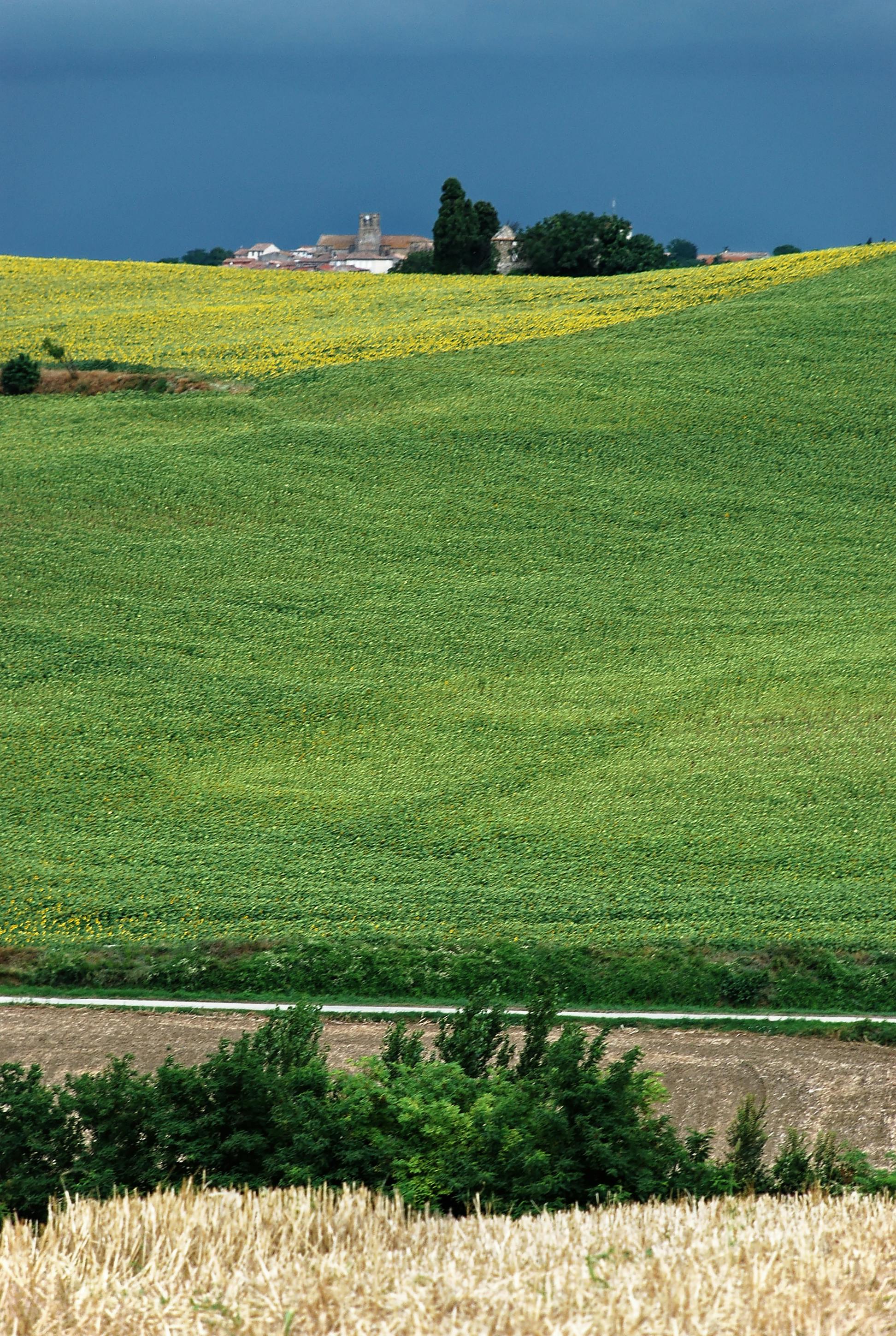 Rural Area Photos, Download The BEST Free Rural Area Stock Photos & HD ...