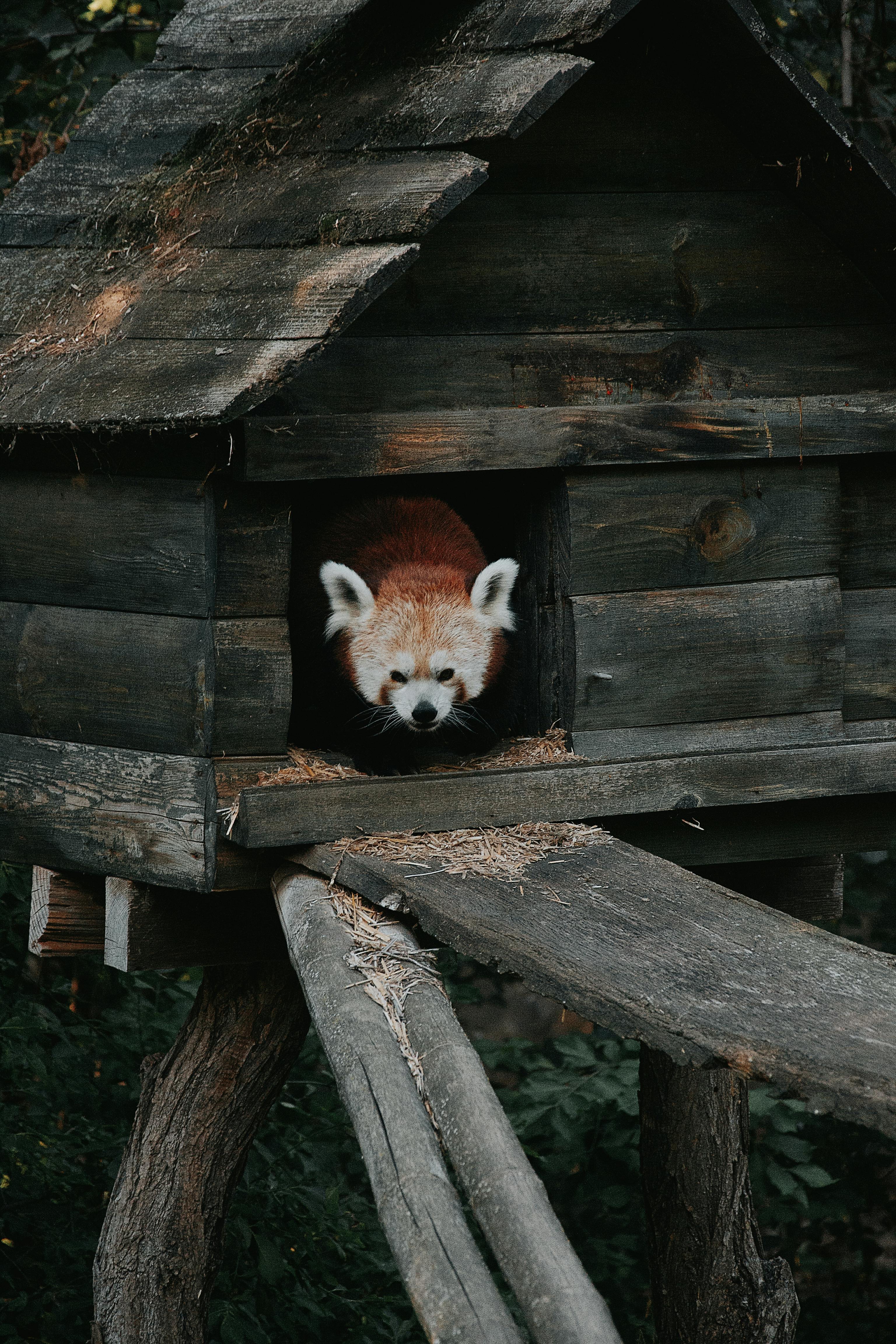 70.000+ melhores imagens de Goti+yuri22+wallpaper+1920x1080 · Download ...