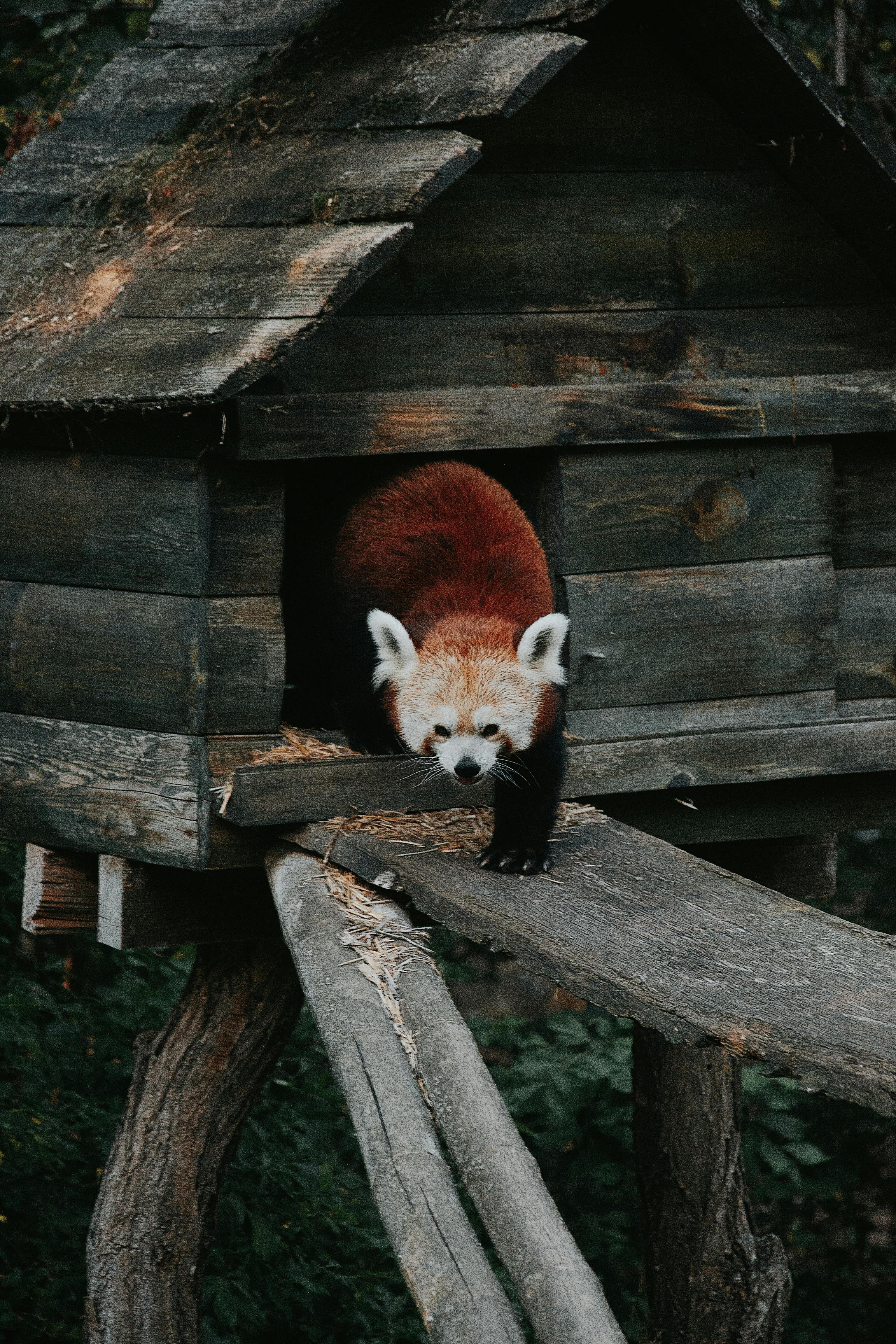 Voxtek+Wallpaper Photos, Download The BEST Free Voxtek+Wallpaper Stock ...