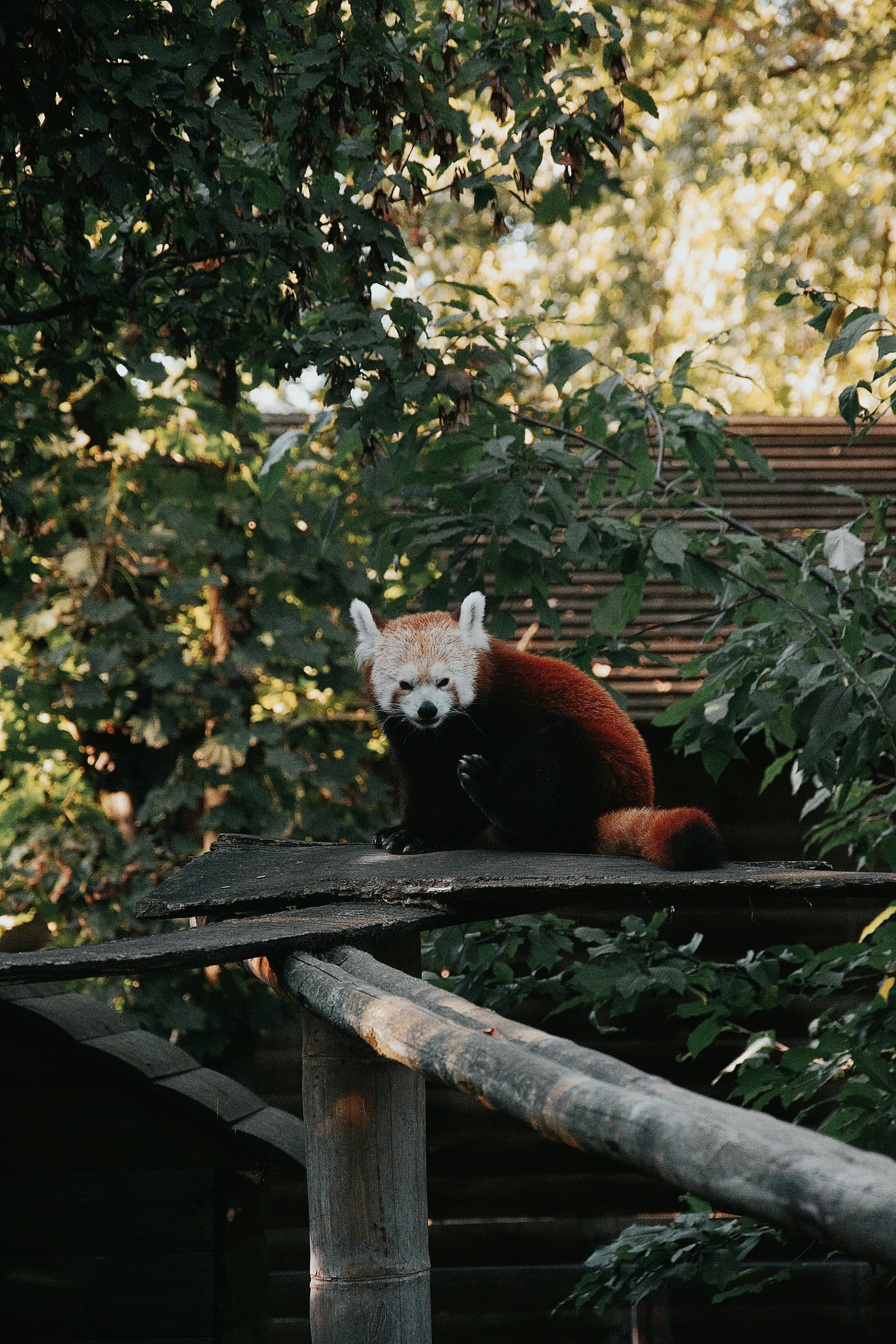 Voxtek+Wallpaper Photos, Download The BEST Free Voxtek+Wallpaper Stock ...