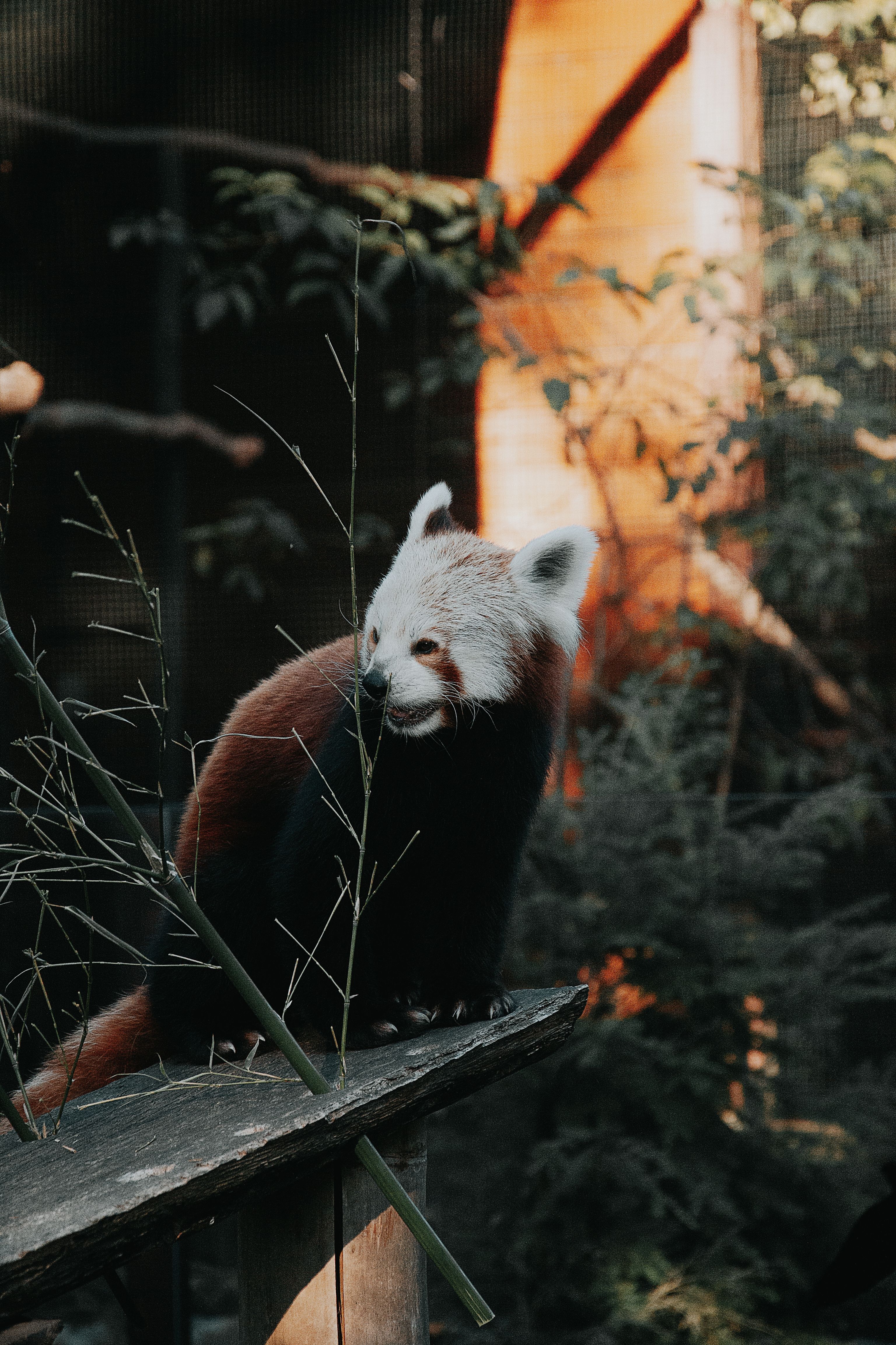 Small Wallpaper Photos, Download The BEST Free Small Wallpaper Stock ...