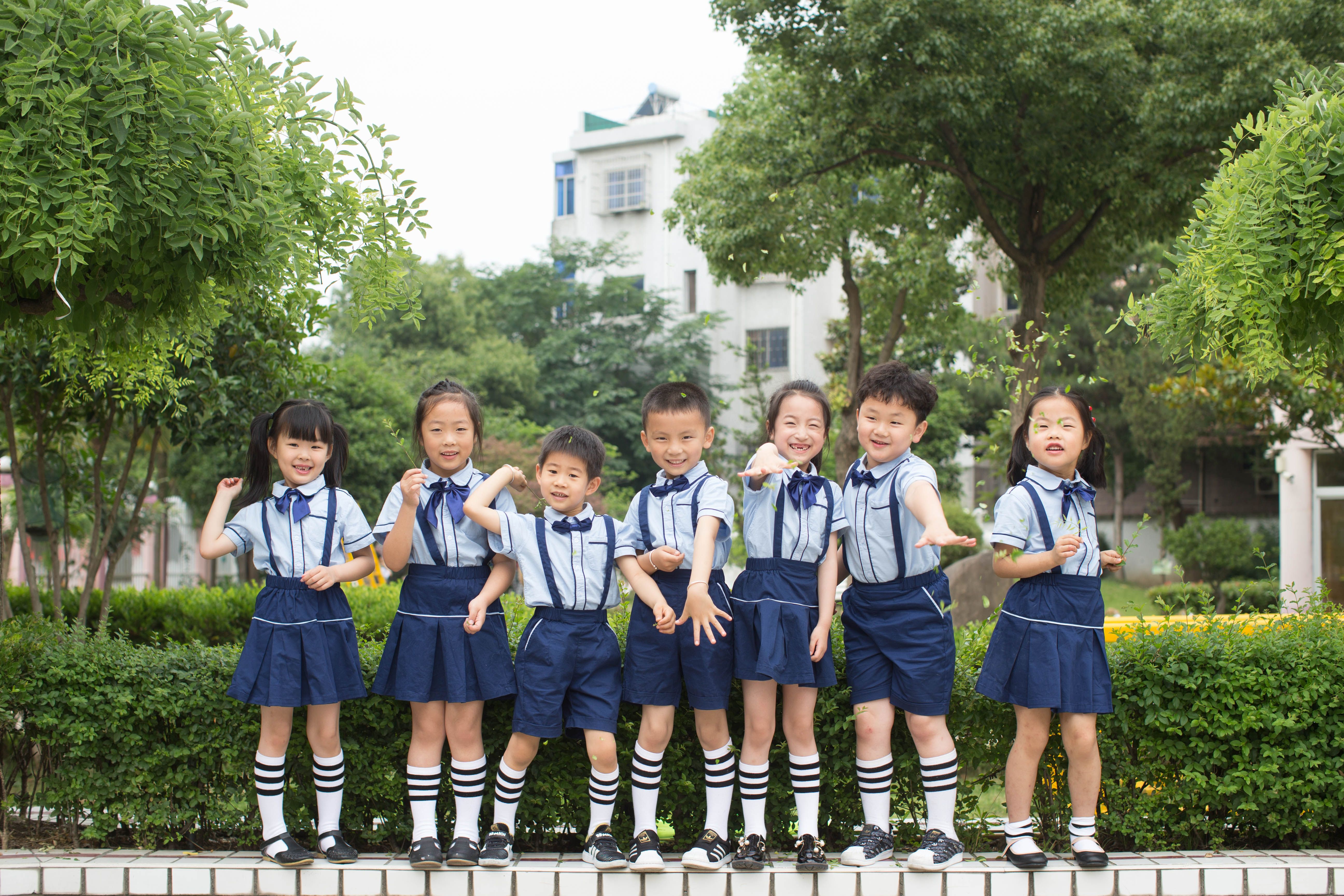 My School Photos, Download The BEST Free My School Stock Photos & HD Images