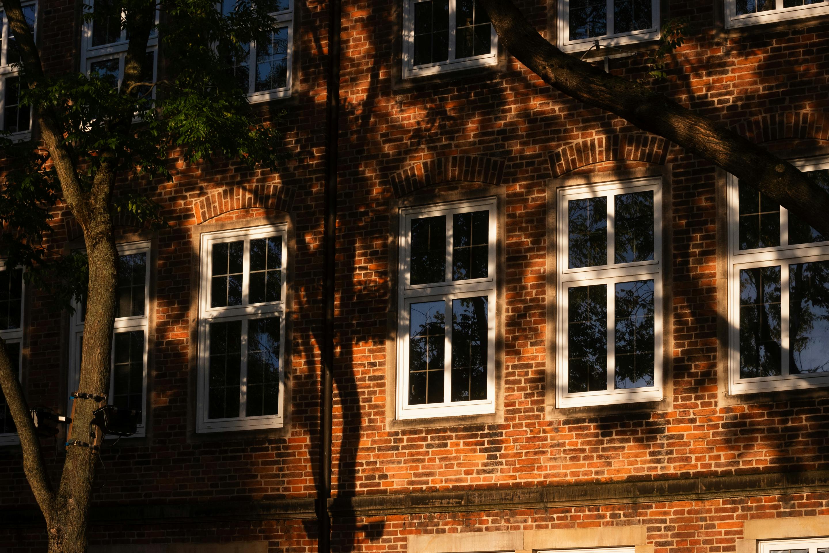 Tree Texture Photos, Download The BEST Free Tree Texture Stock Photos ...