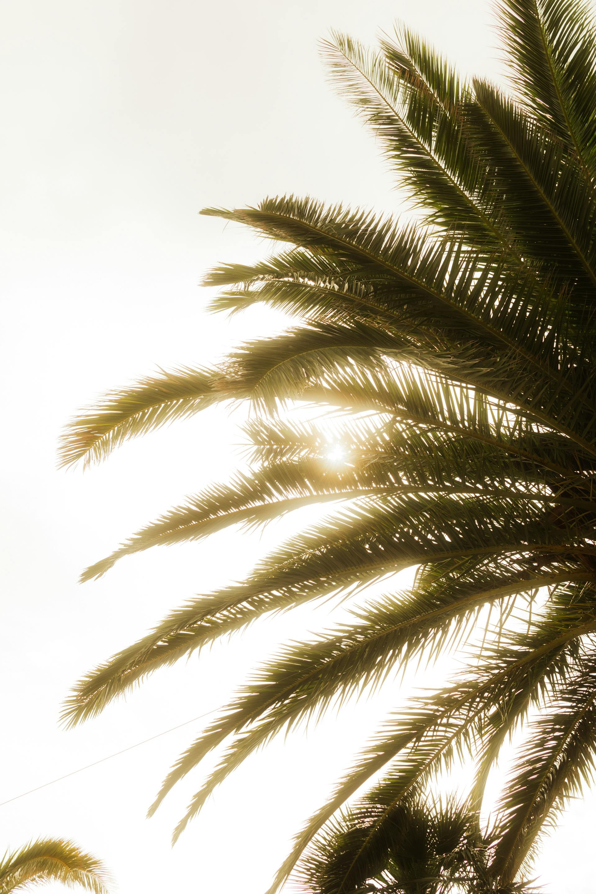 Ias Wallpaper Upsc Photos, Download The BEST Free Ias Wallpaper Upsc ...