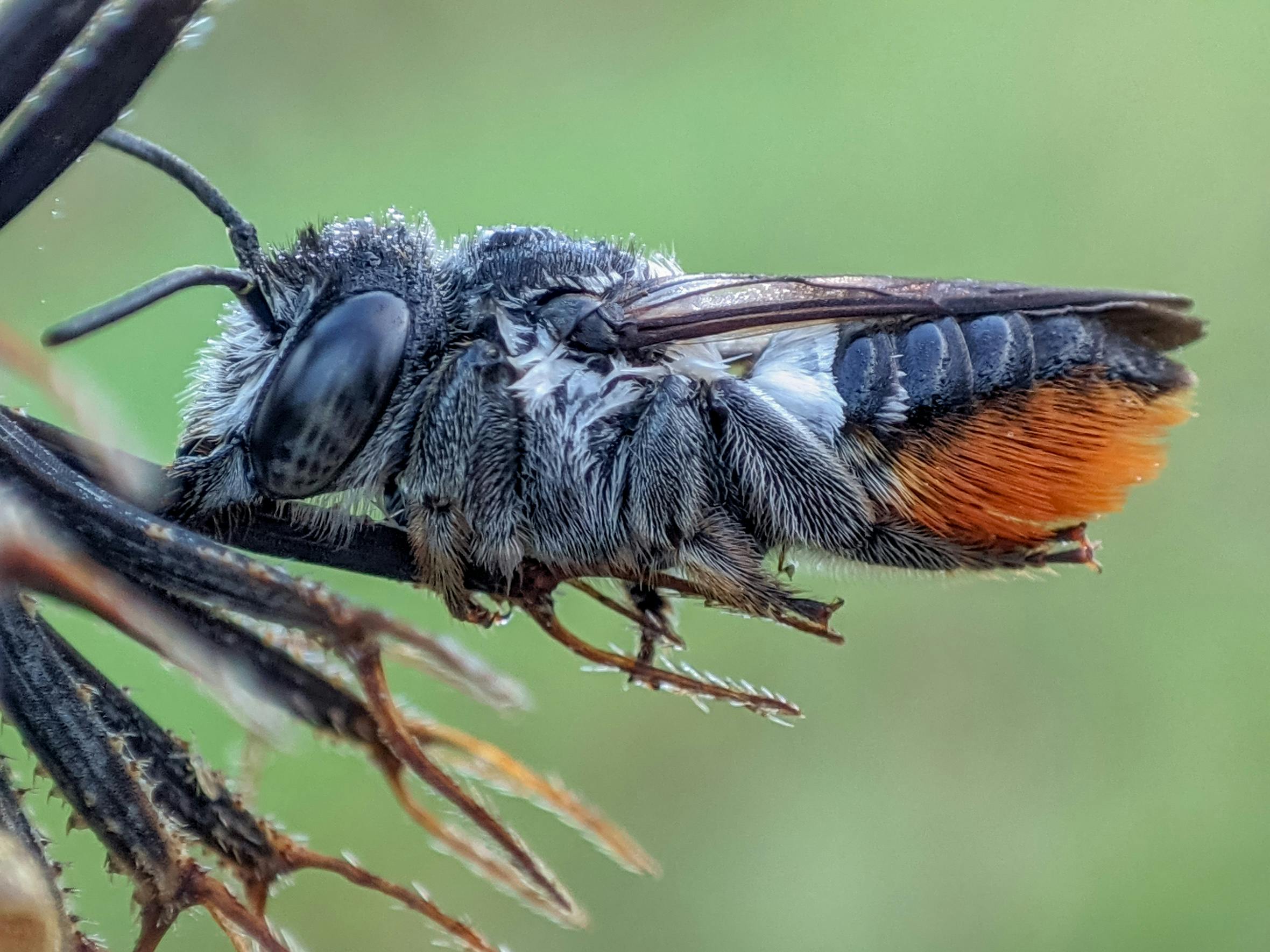 Scrolller+Micro+Bikini Photos, Download The BEST Free Scrolller+Micro+Bikini Stock Photos & HD ...