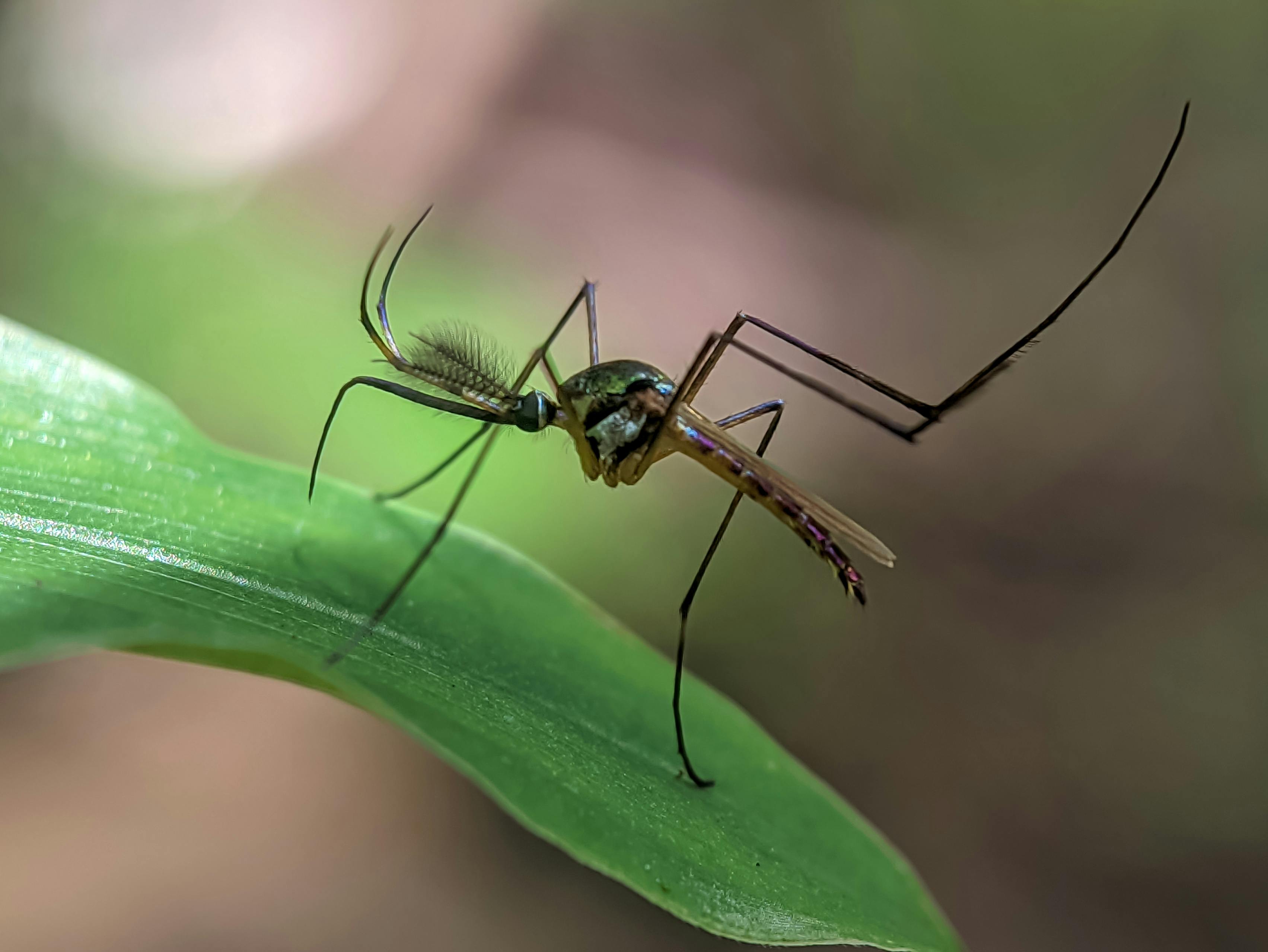 Micro+Bikinis+Gifs Photos, Download The BEST Free Micro+Bikinis+Gifs ...