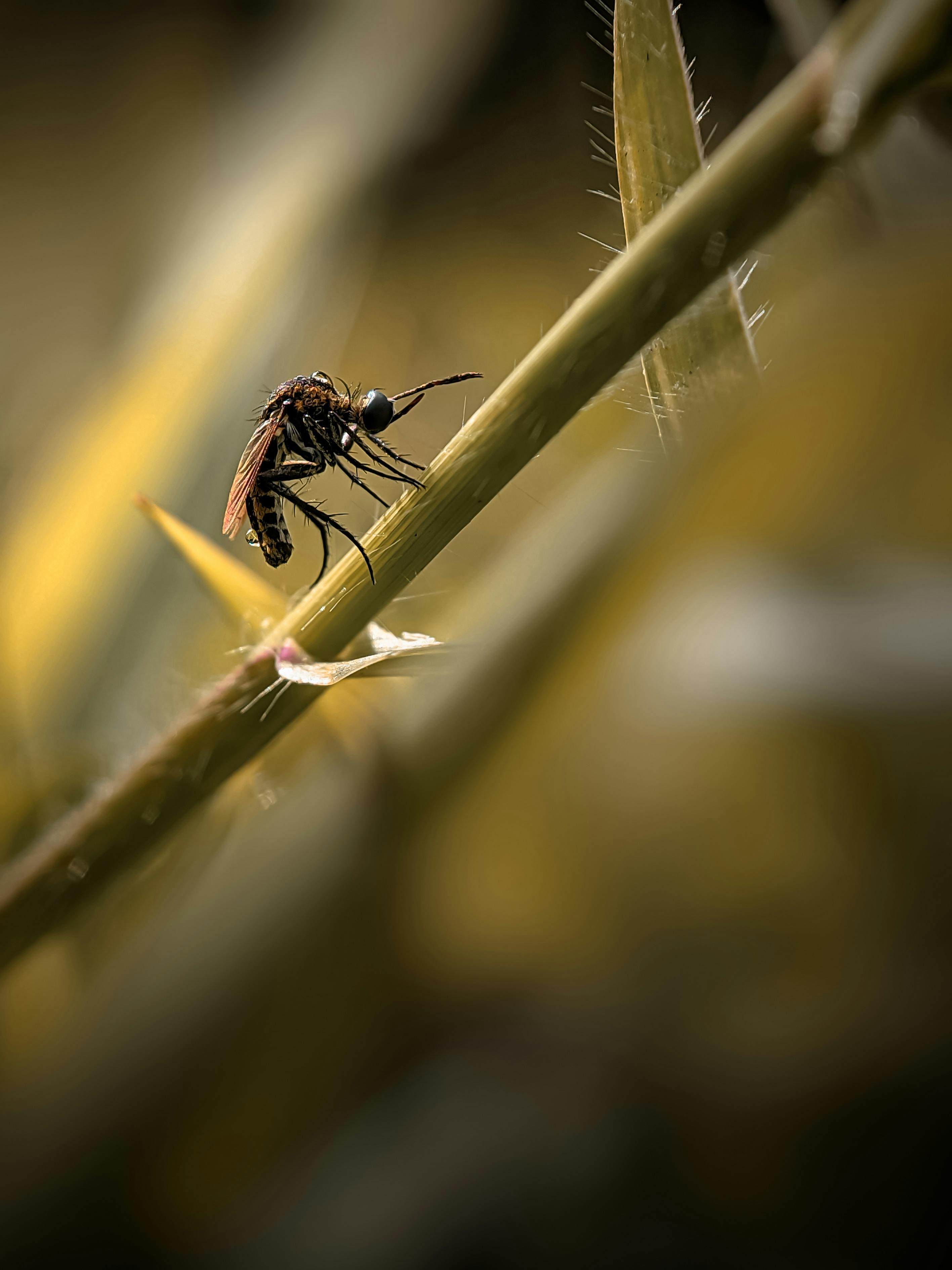 Micro+Bikinis+Gifs Photos, Download The BEST Free Micro+Bikinis+Gifs ...