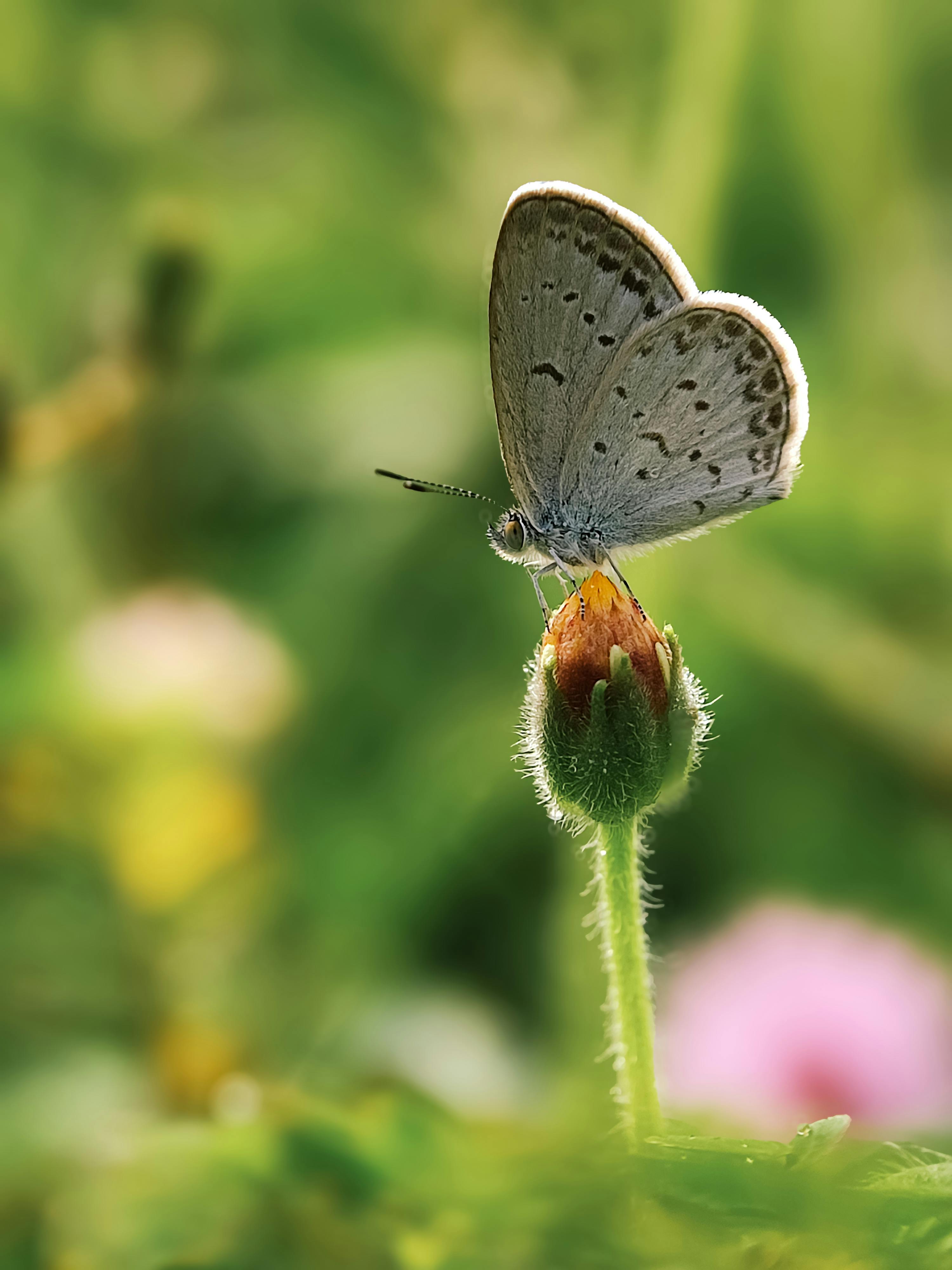 Environmental Conservation Photos, Download The BEST Free Environmental ...