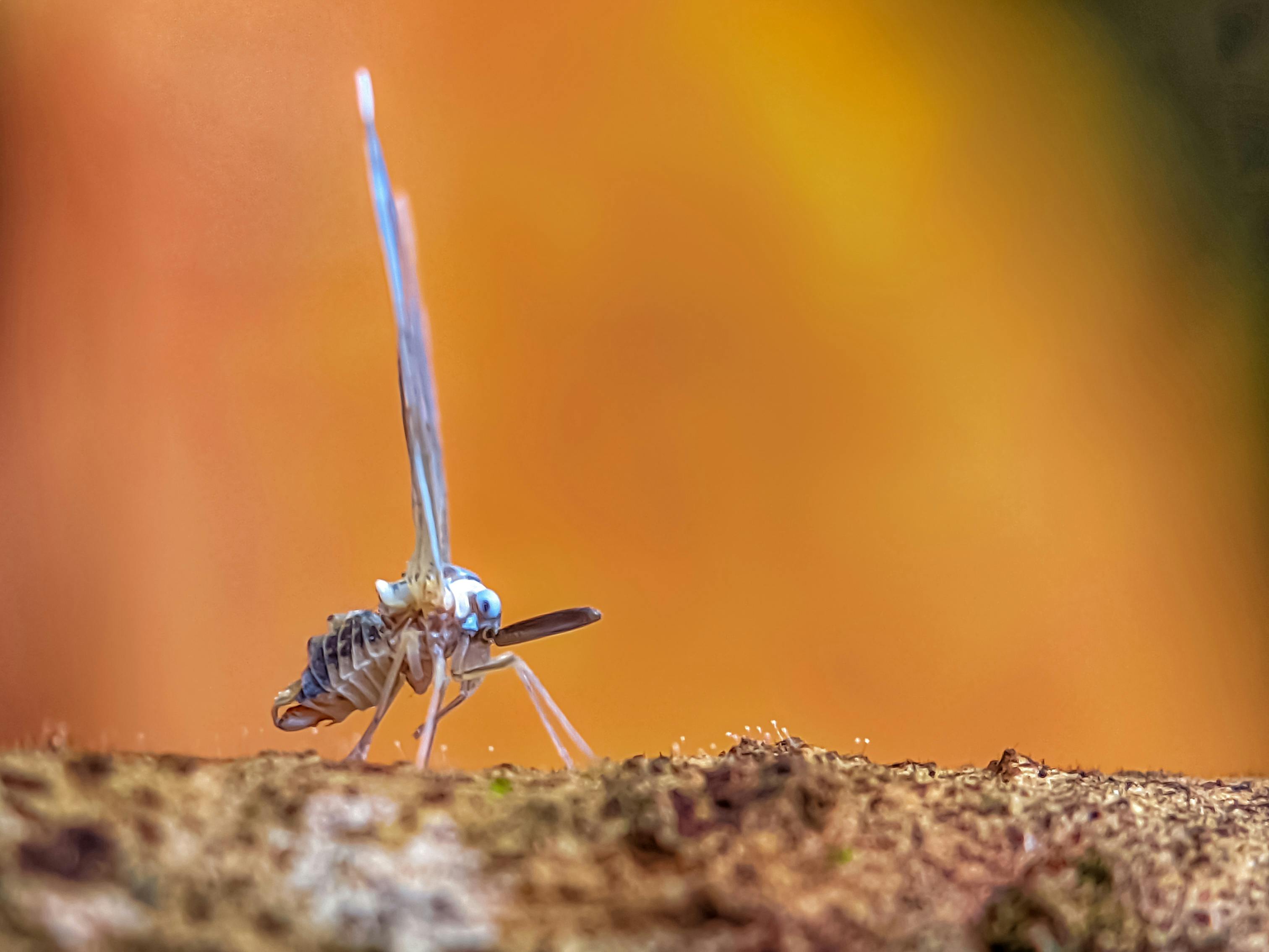 Micro+Bikinis+Gifs Photos, Download The BEST Free Micro+Bikinis+Gifs ...