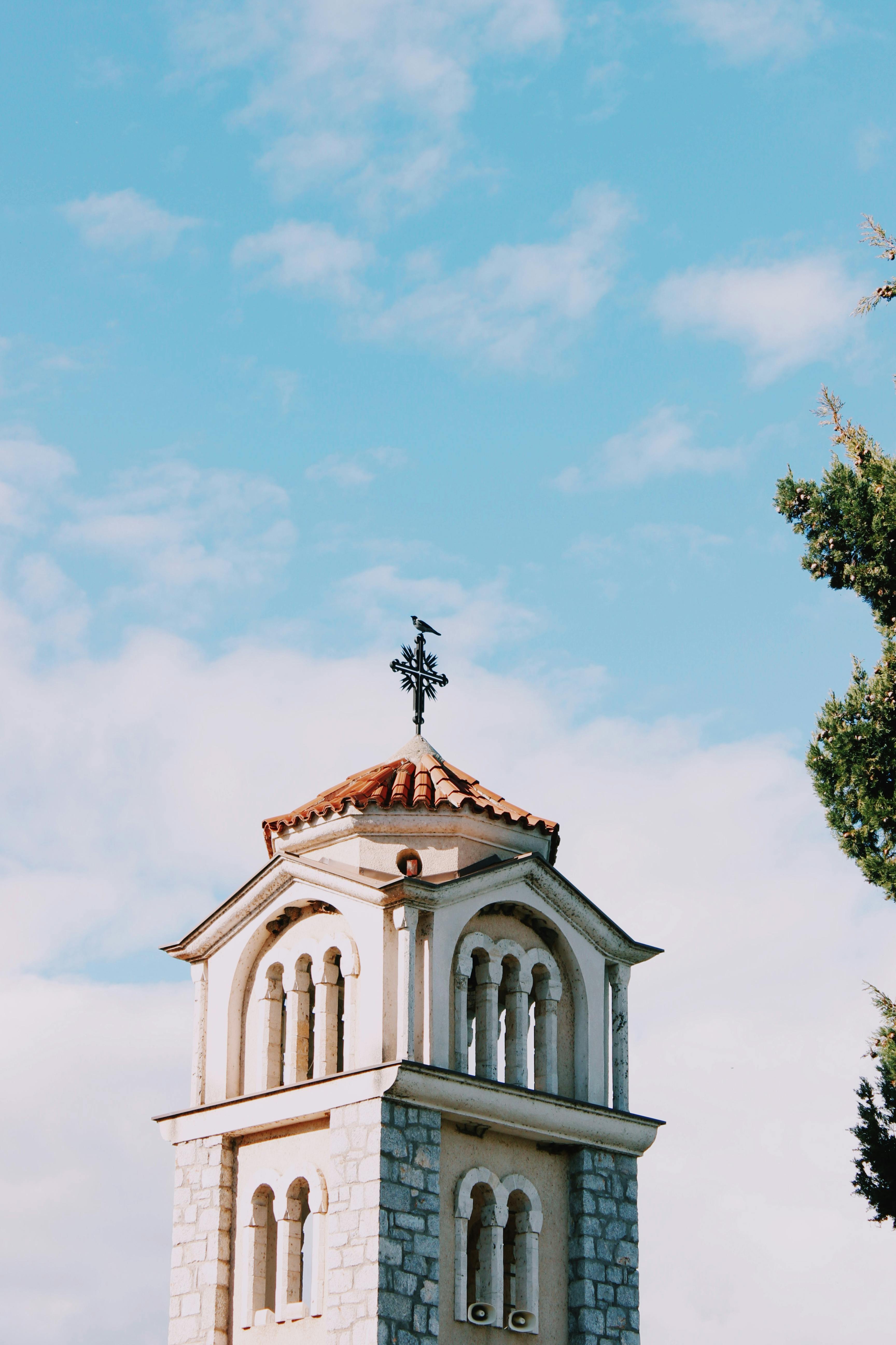 Tinker Bell Photos, Download The BEST Free Tinker Bell Stock Photos ...